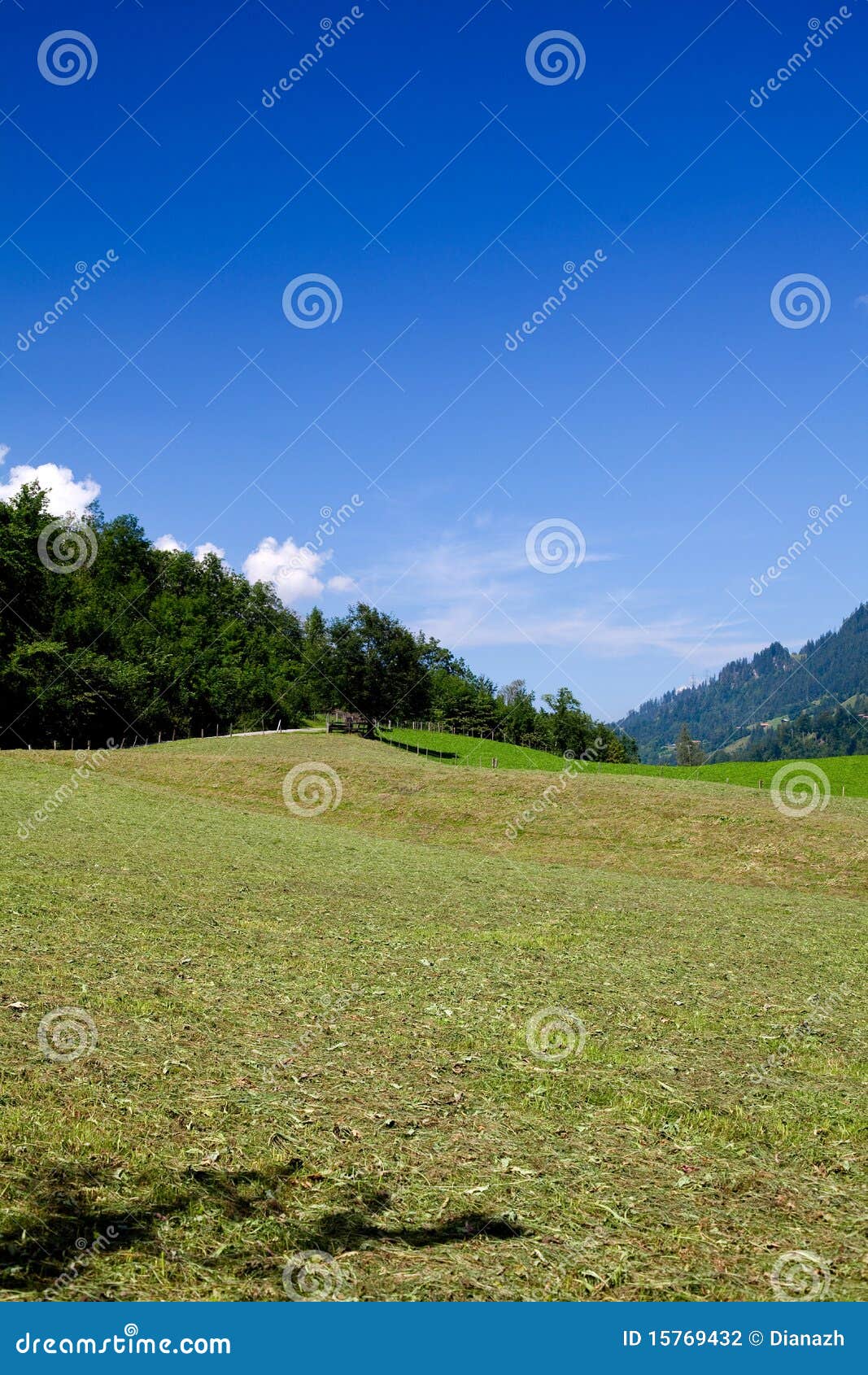 Sloping field stock photo. Image of switzerland, beautiful - 15769432