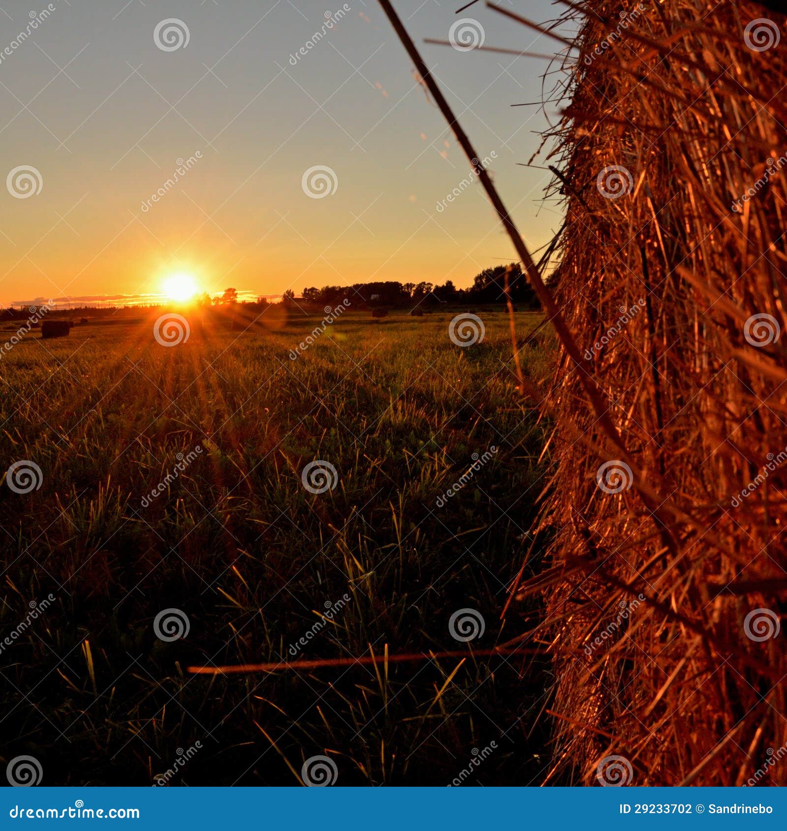 Sloping field stock photo. Image of sunrise, field, summer - 29233702