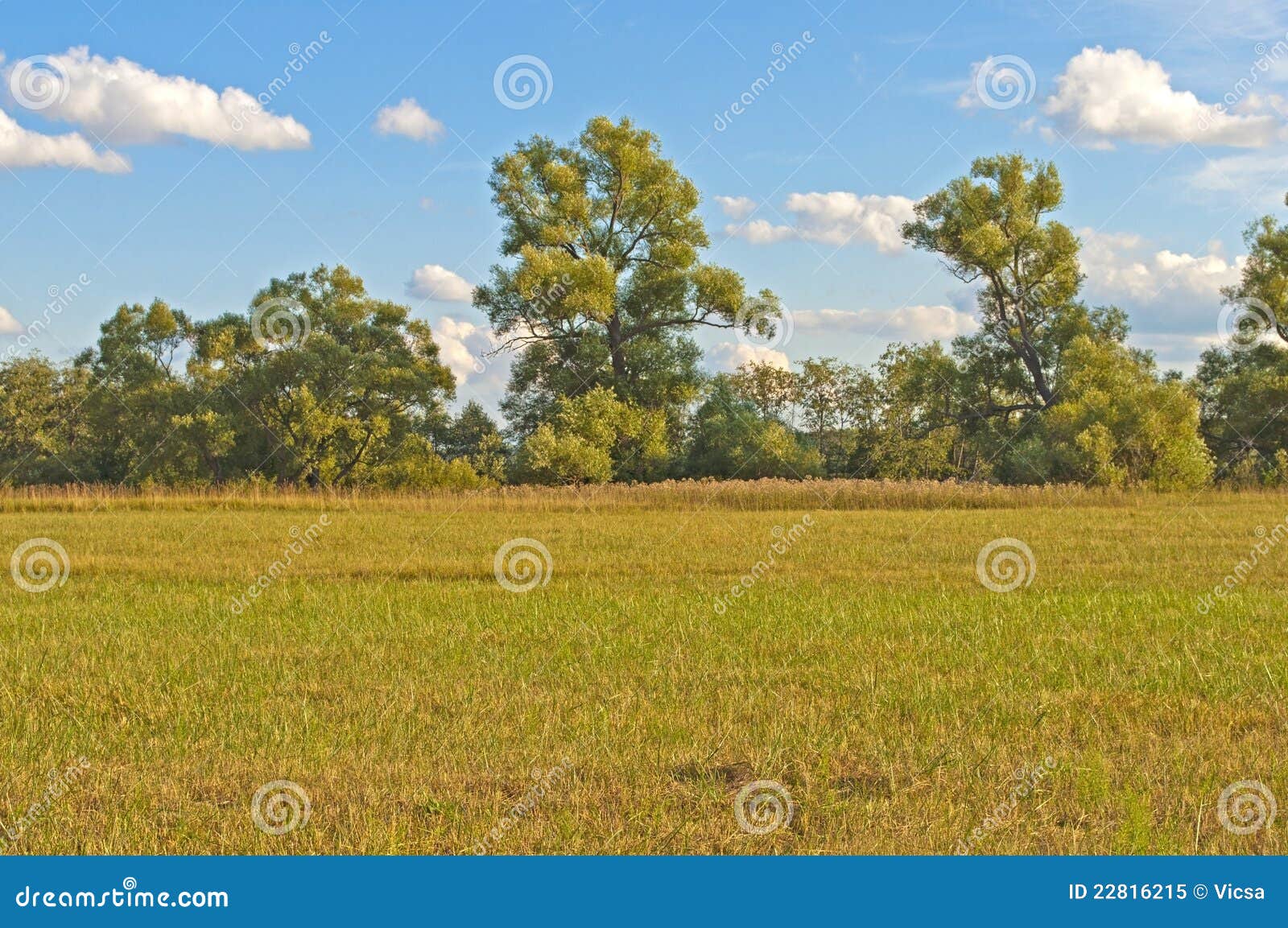 Sloping field in autumn stock image. Image of background - 22816215