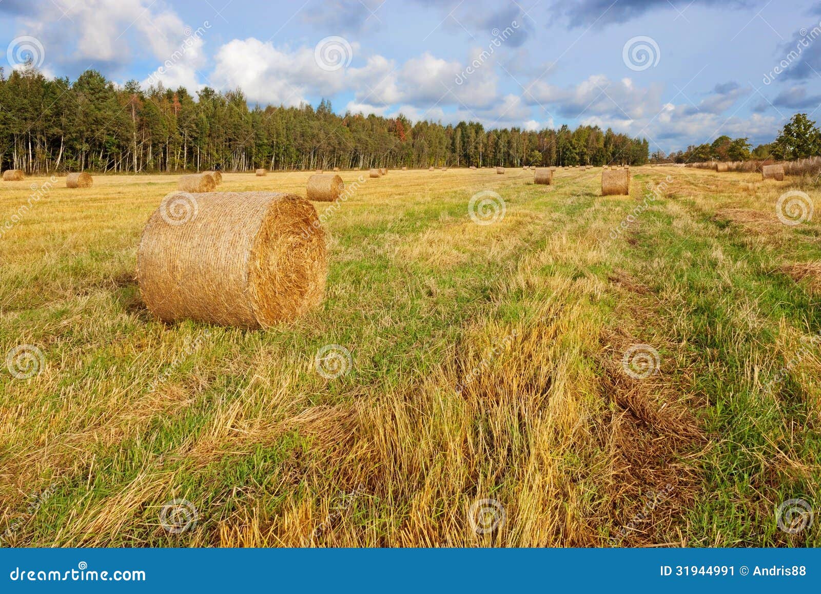 The sloping field. stock image. Image of outdoors, package - 31944991