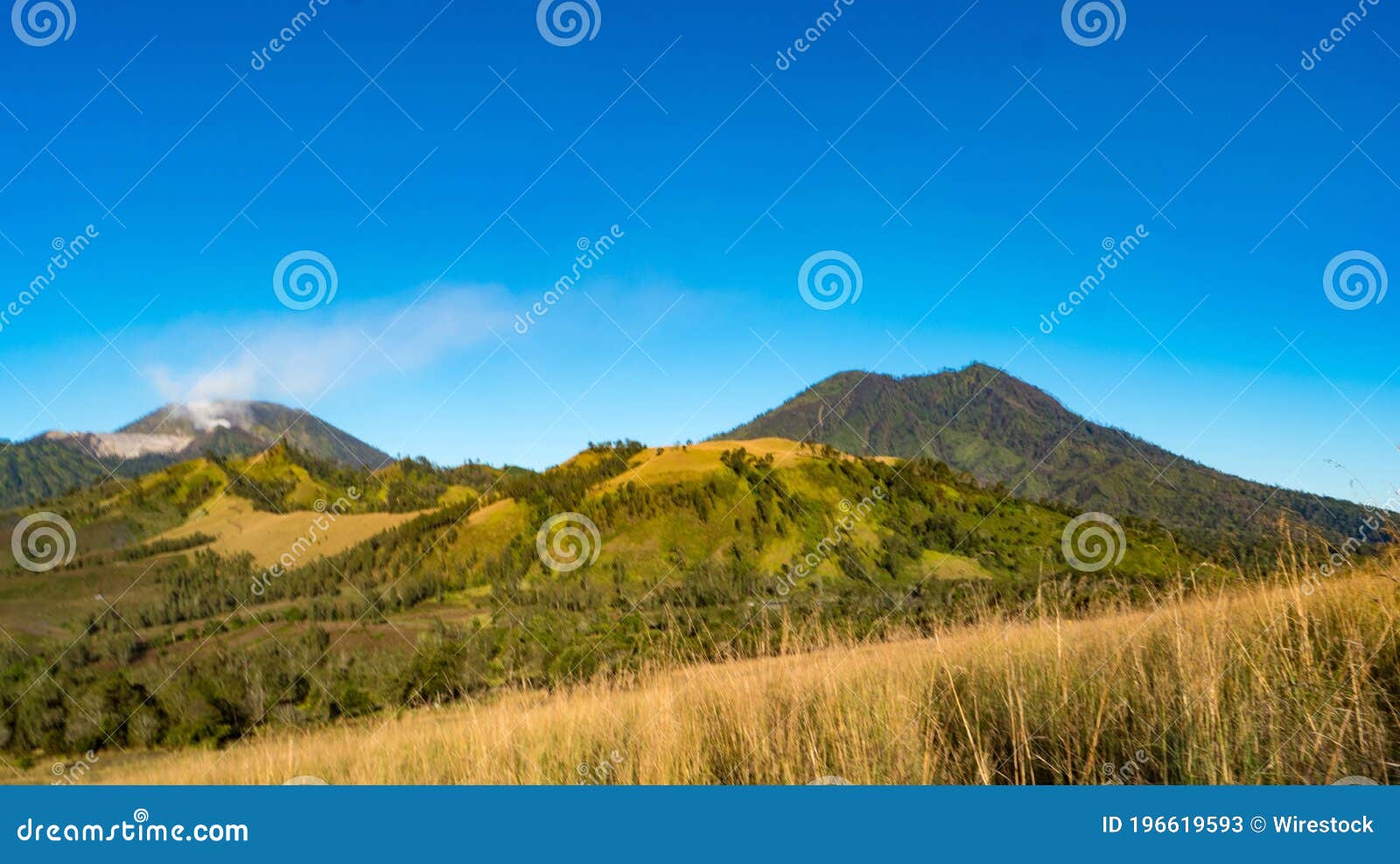 Sloping Field with a View of Mountain in the Background Stock Image ...
