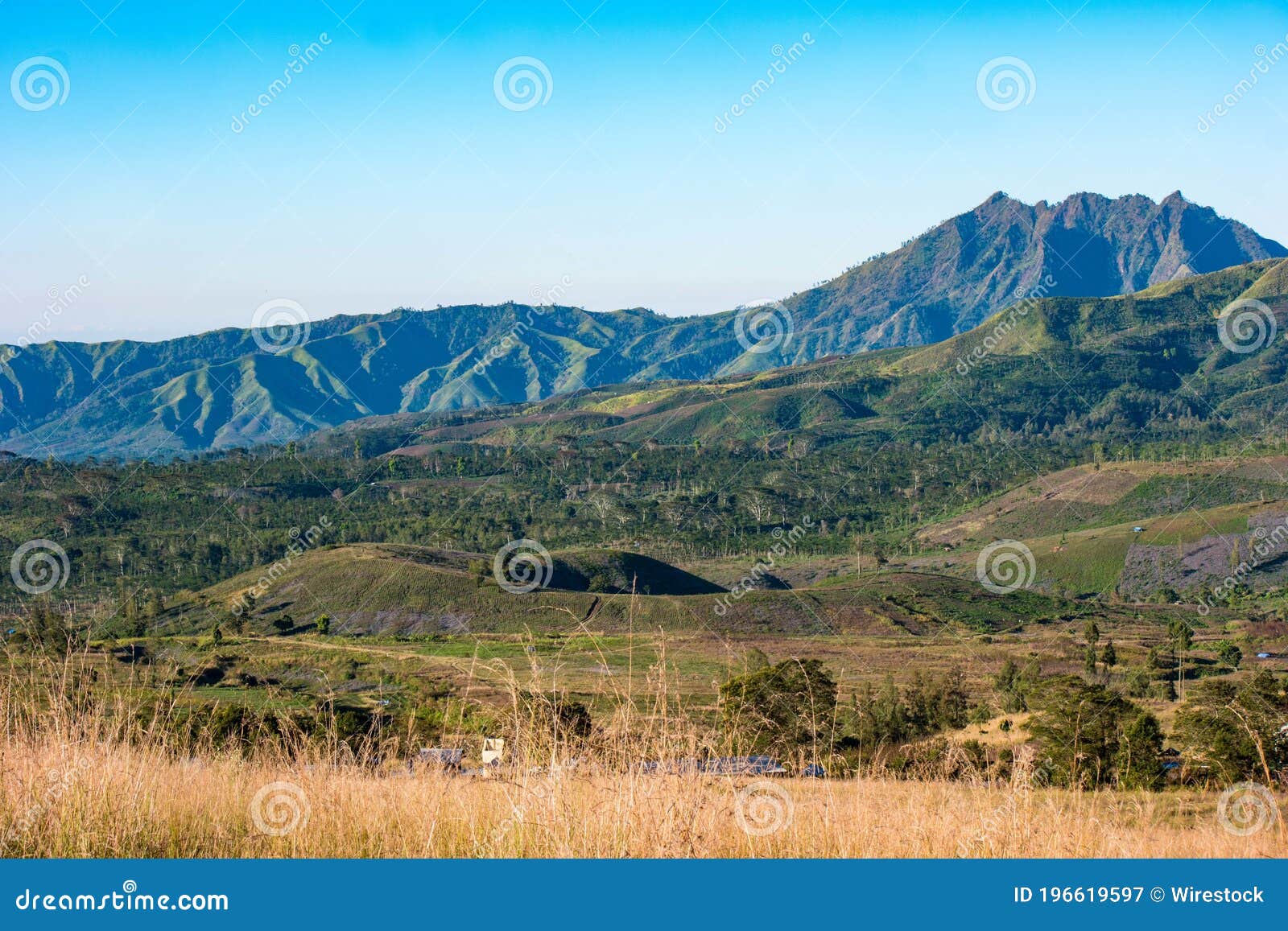 Sloping Mountain Landscape with Grasses and Trees on a Sunny Day Stock ...