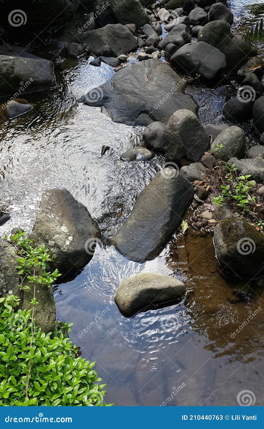 Sloping River with Rocks and Plants in Clear Water Stock Image - Image ...