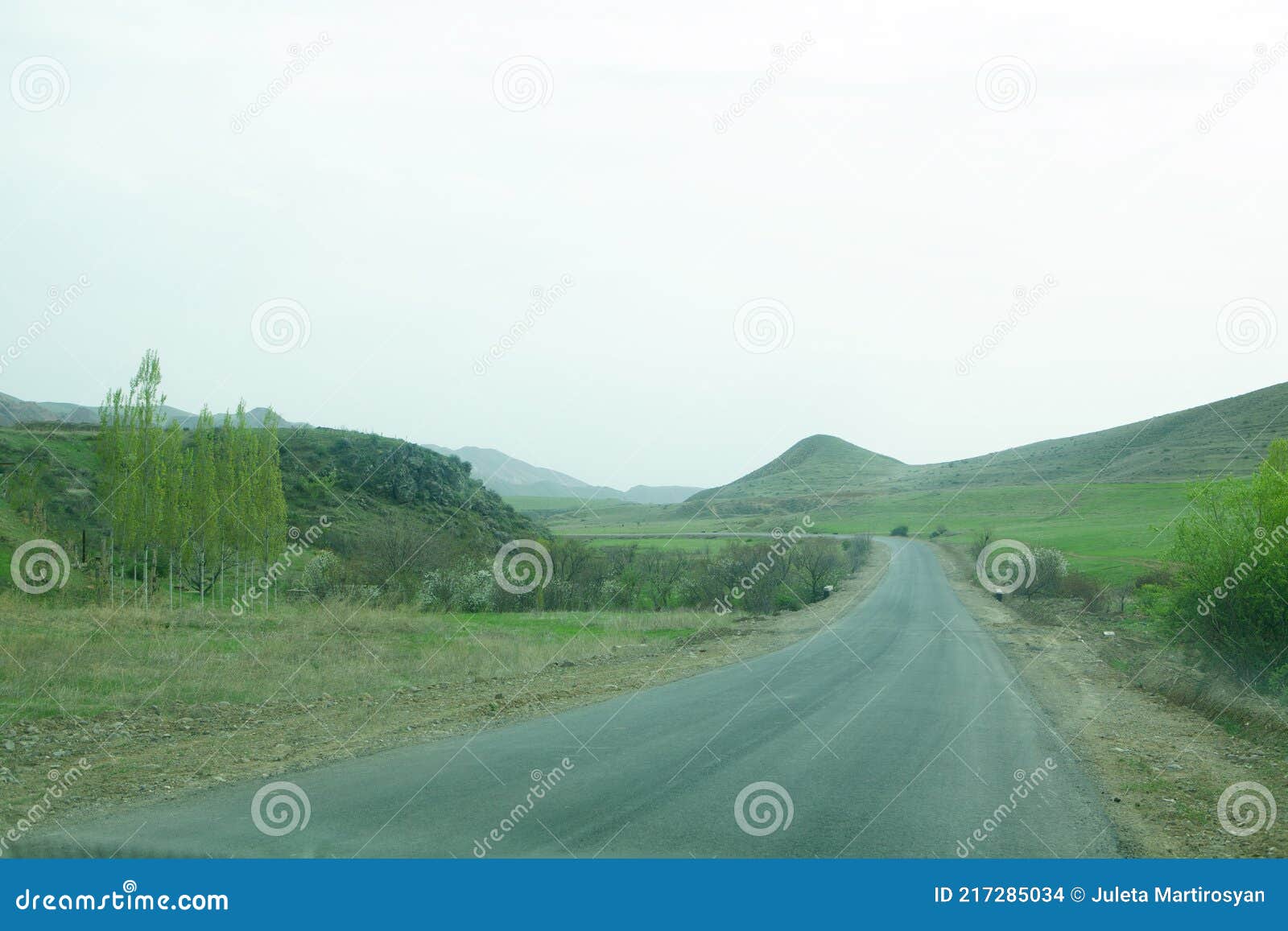 Sloping road next to trees stock photo. Image of colour - 217285034