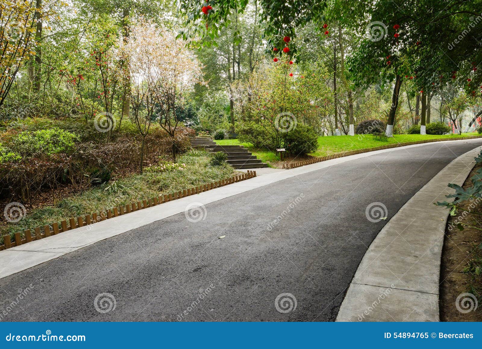 Slopy Asphalt Road in Blossoming Spring Stock Image - Image of slope ...