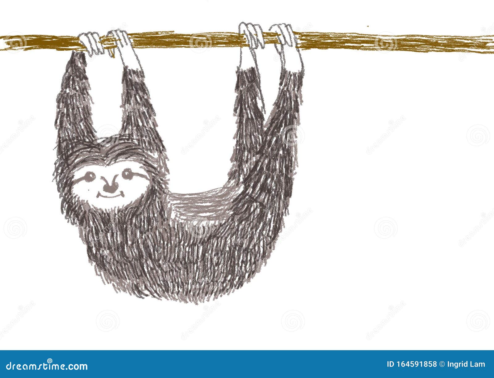 Adorable Hanging Sloth on Isolated White Background Stock Illustration ...
