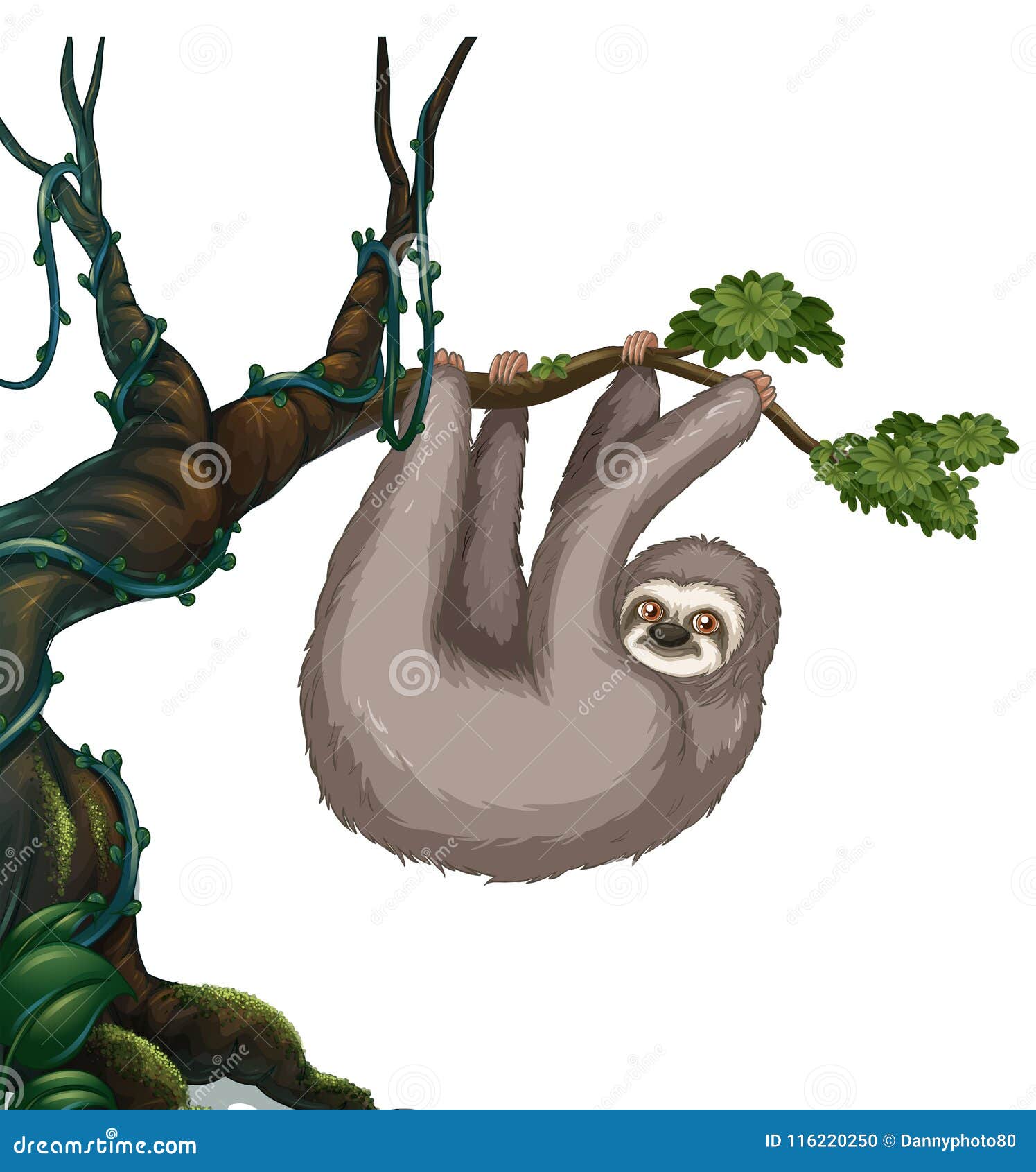 Sloth Hanging On Tree Branch . Cute Cartoon Character. Wild Jungle ...