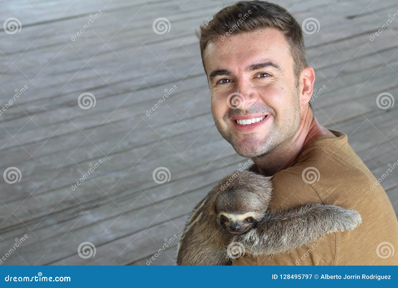 Sloth Hugging a Handsome Man Stock Image - Image of happy, animal ...