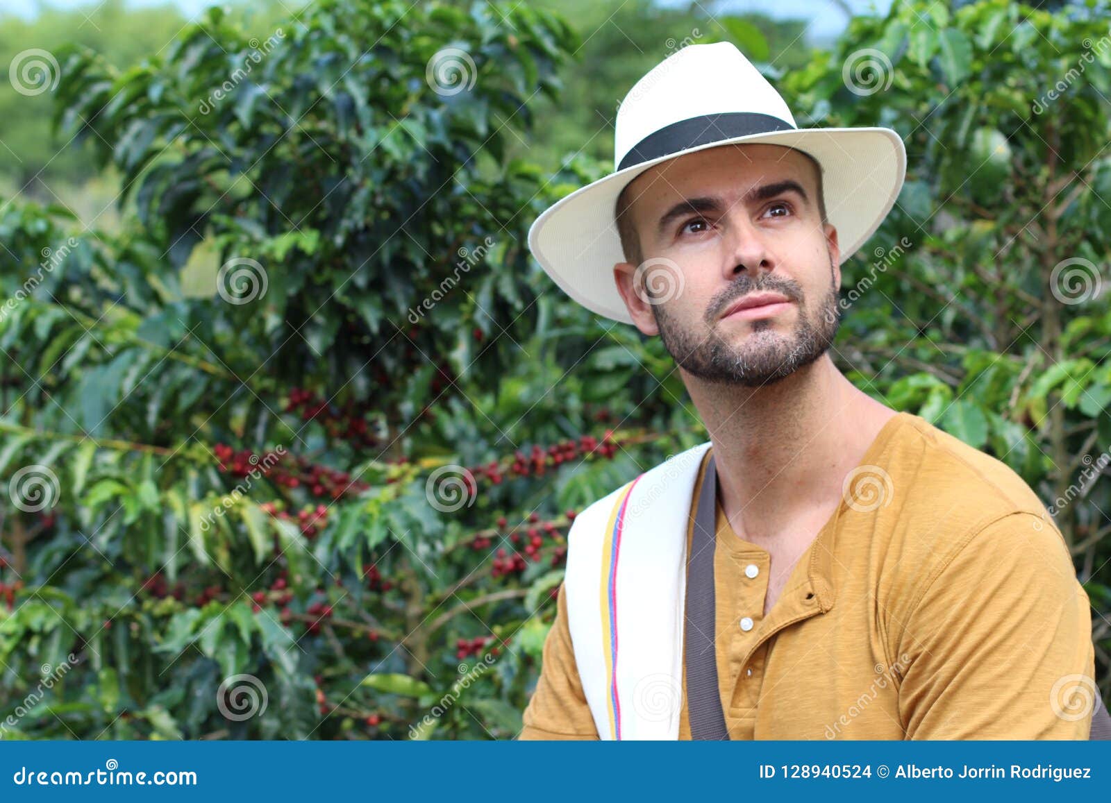 Sloth Hugging a Handsome Man Stock Photo - Image of lazy, close: 128940524