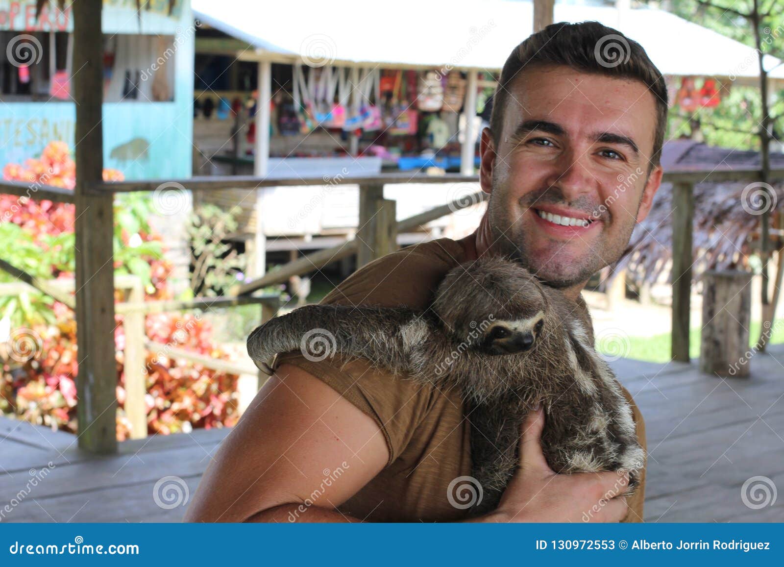 Sloth Hugging a Handsome Man Stock Image - Image of bear, balcony ...