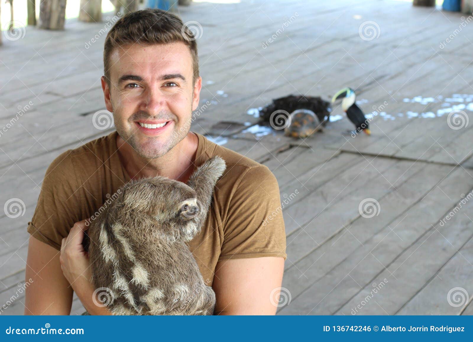 Sloth Hugging a Handsome Man Stock Photo - Image of caucasian ...