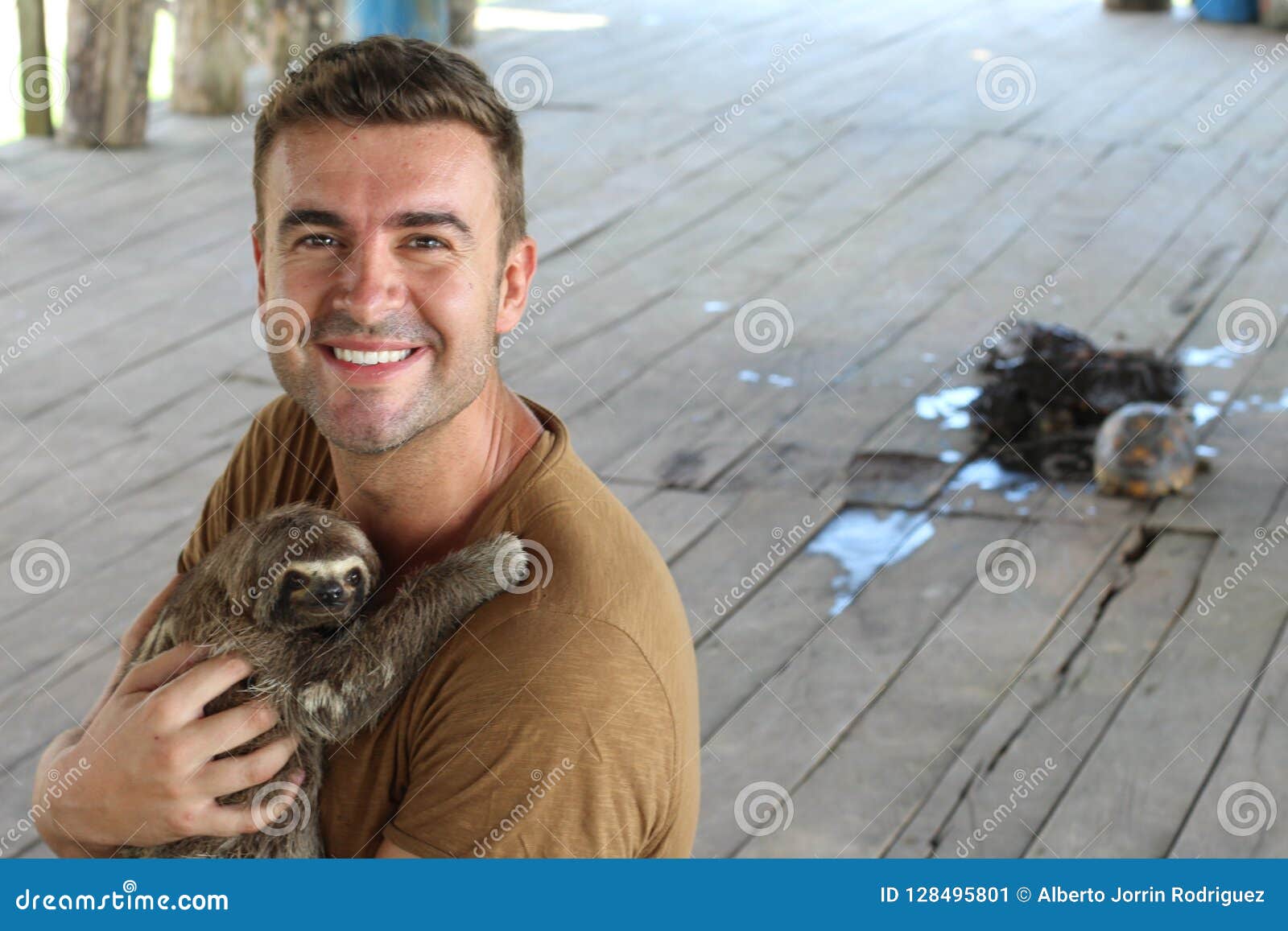 Sloth Hugging a Handsome Man Stock Image - Image of central, happy ...