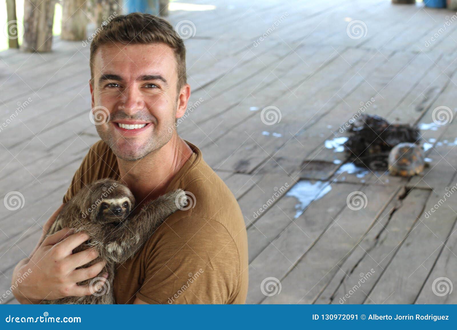 Sloth Hugging a Handsome Man Stock Image - Image of colombia, caregiver ...