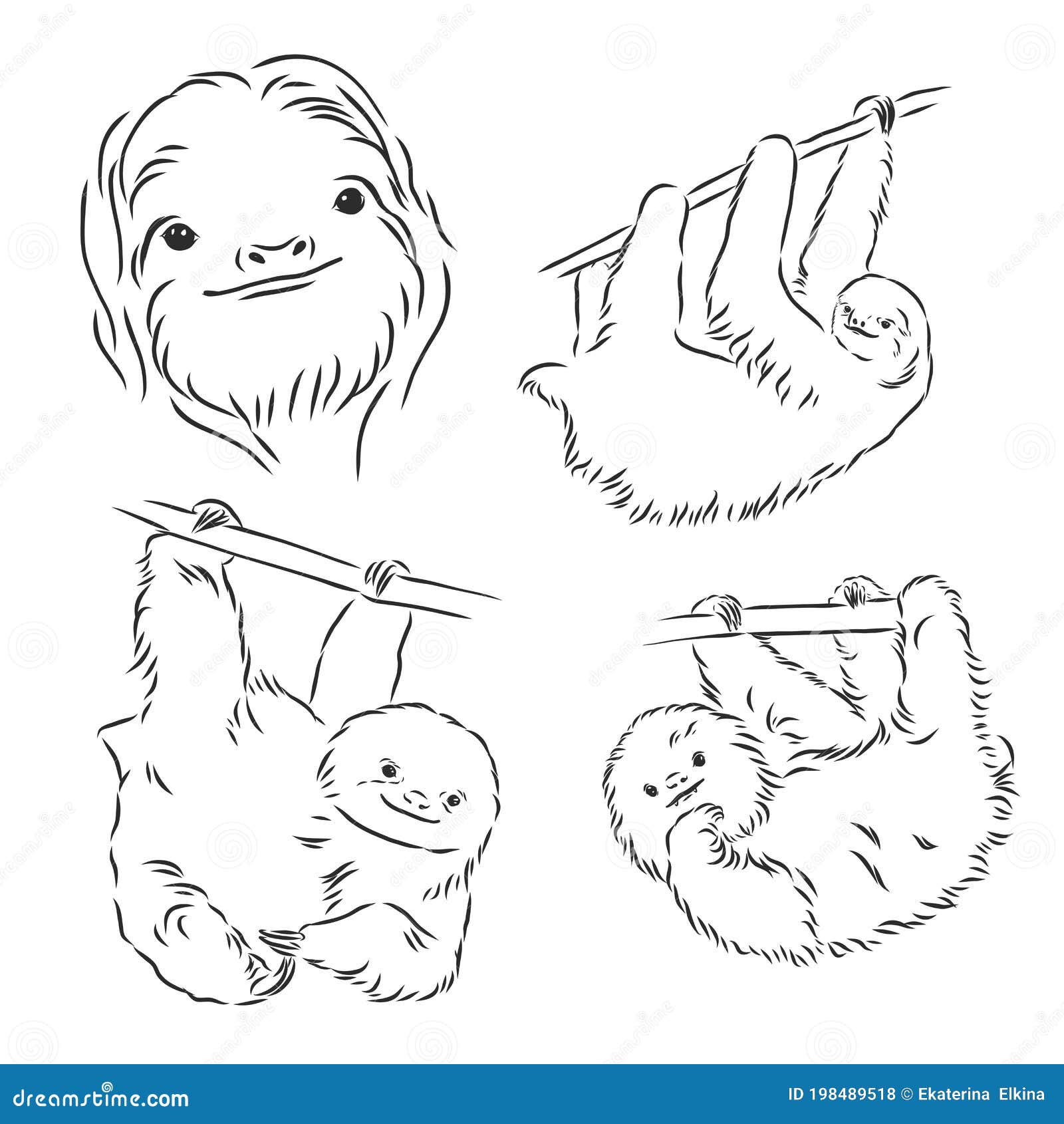 Sloth Outline Illustration, Sloth, Vector Sketch Illustration ...