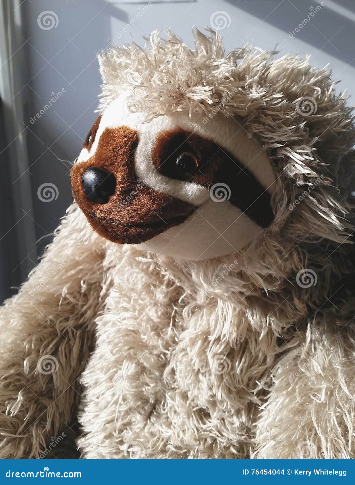 Sloth stock photo. Image of brown, fluffy, adorable, cute - 76454044