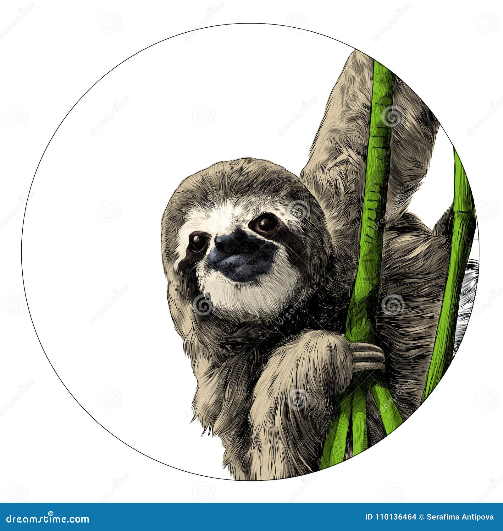 Sloth Sketch Vector Graphics Color Stock Vector - Illustration of ...