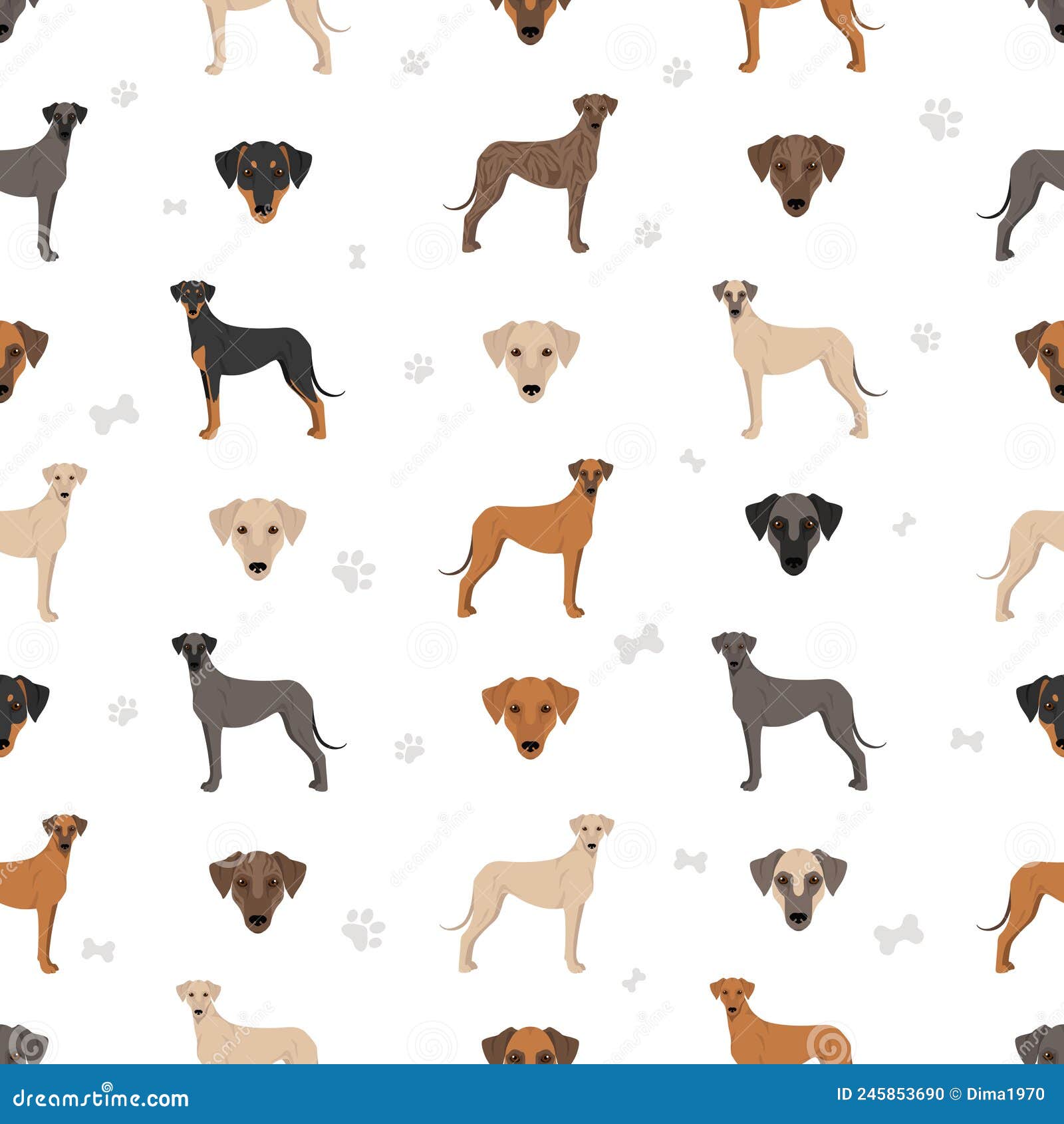 Sloughi Coat Colors, Different Poses Seamless Pattern Stock Vector ...