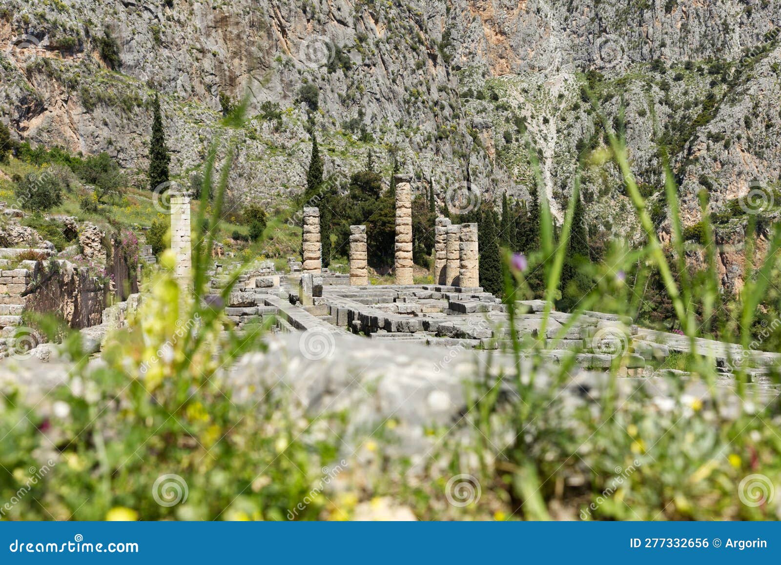 Temple of Apollo Sanctuary in Delphi Stock Photo - Image of flower ...