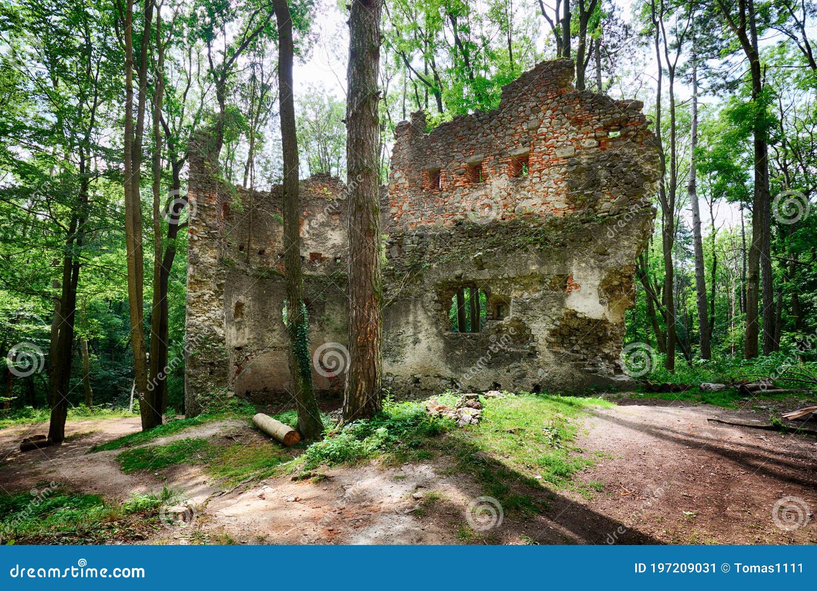 Slovakia - Ruins of Castle Dobra Voda Stock Image - Image of caput ...
