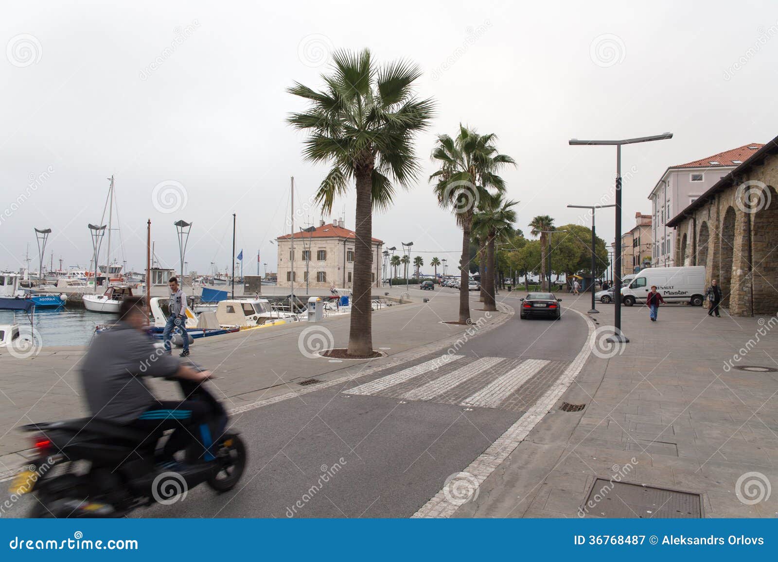 Slovenia, Koper old town editorial photography. Image of arecales ...