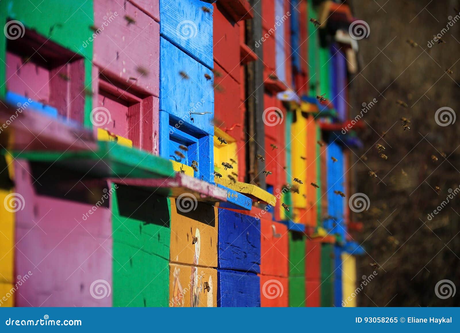 Slovenian Colored Beehives stock image. Image of nature - 93058265