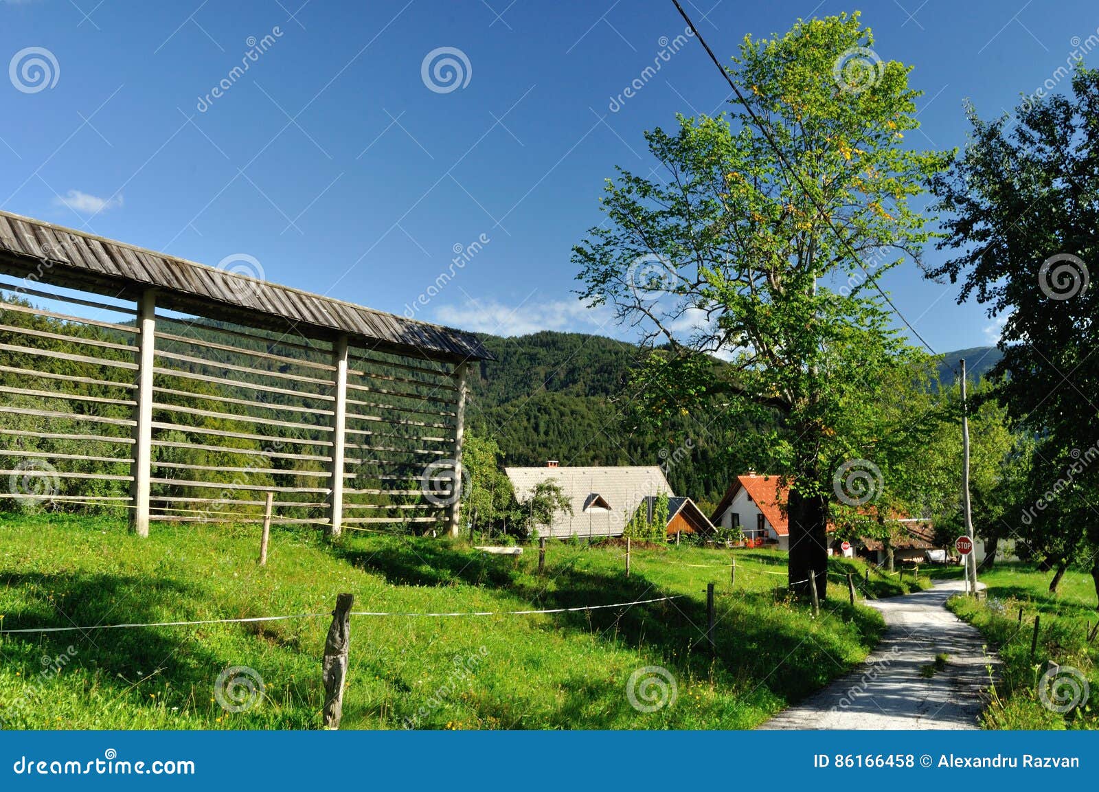 Slovenian village editorial stock photo. Image of green - 86166458