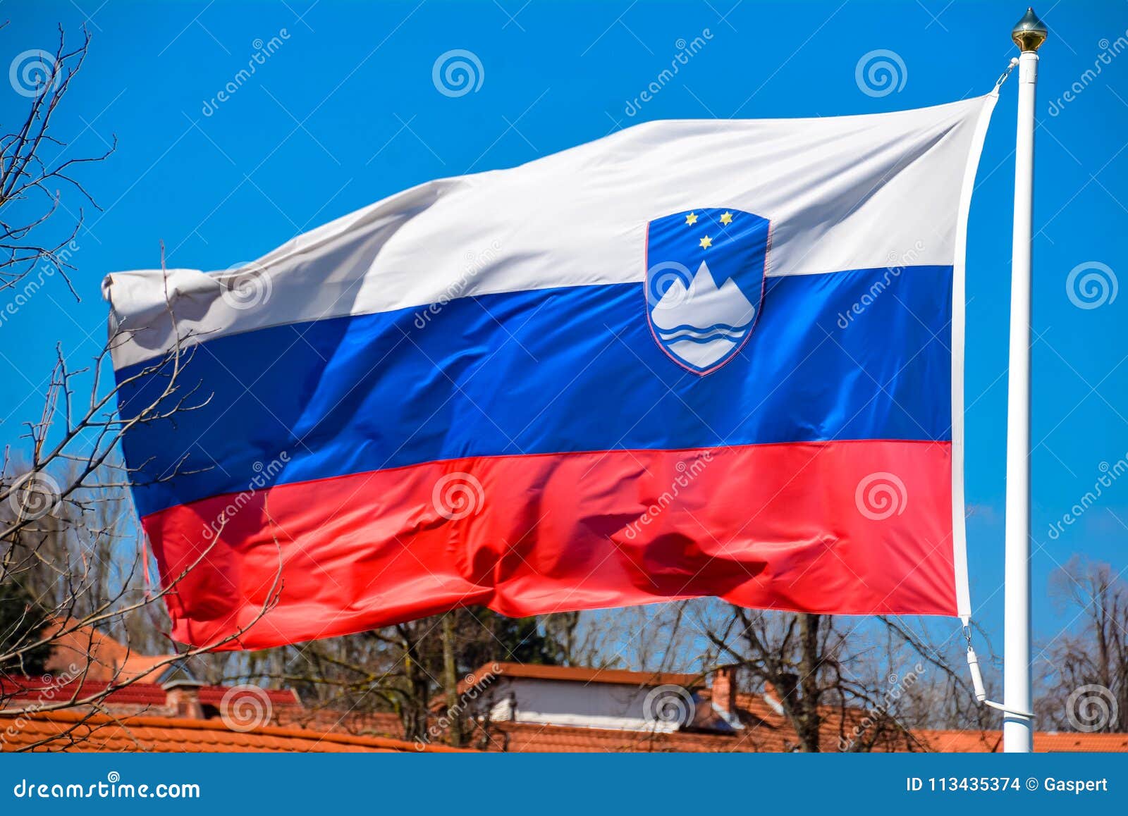 Slovensk nationsflagga arkivfoto. Bild av nationellt - 113435374