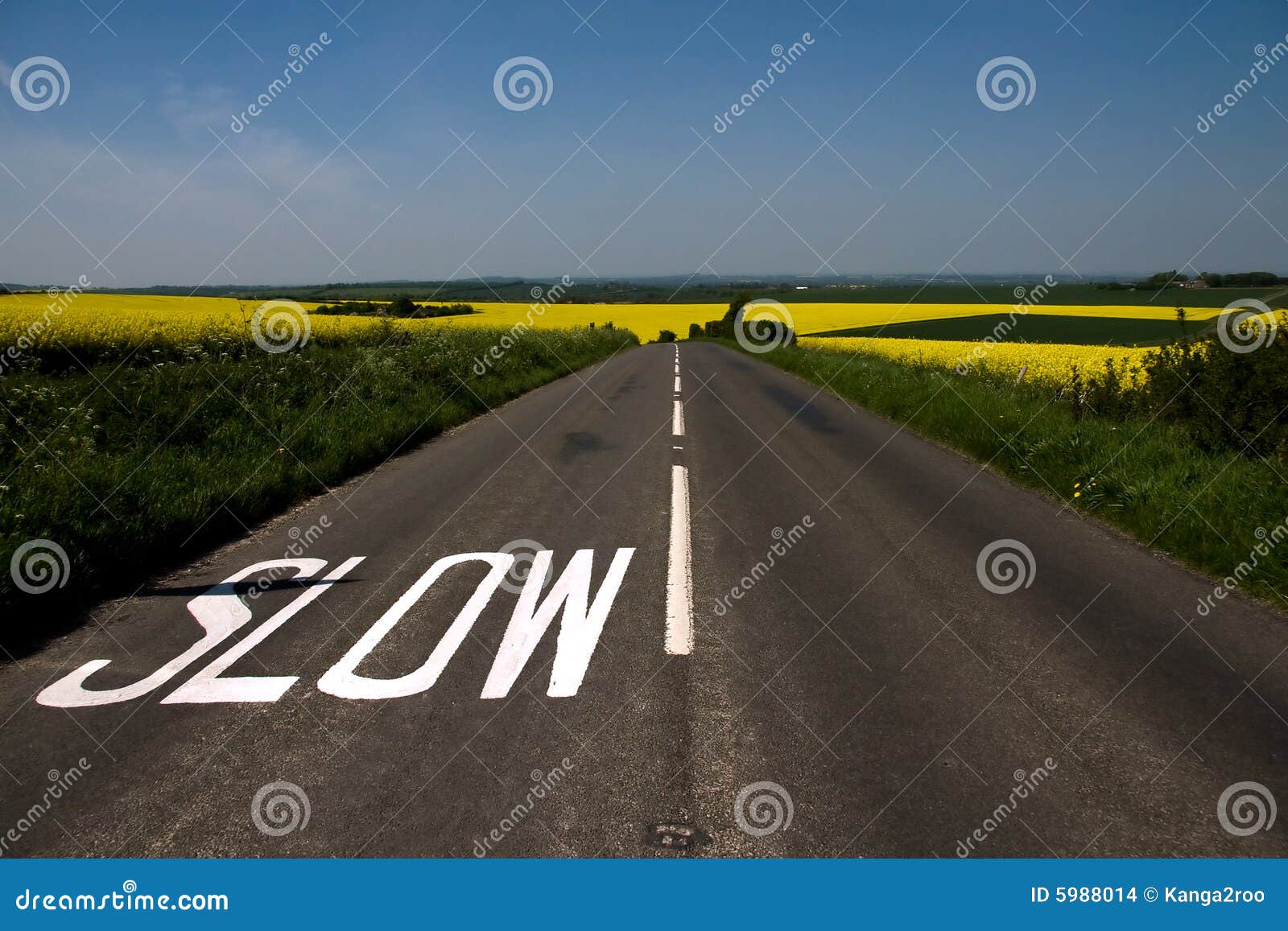 Slow stock photo. Image of sunny, spring, green, yellow - 5988014