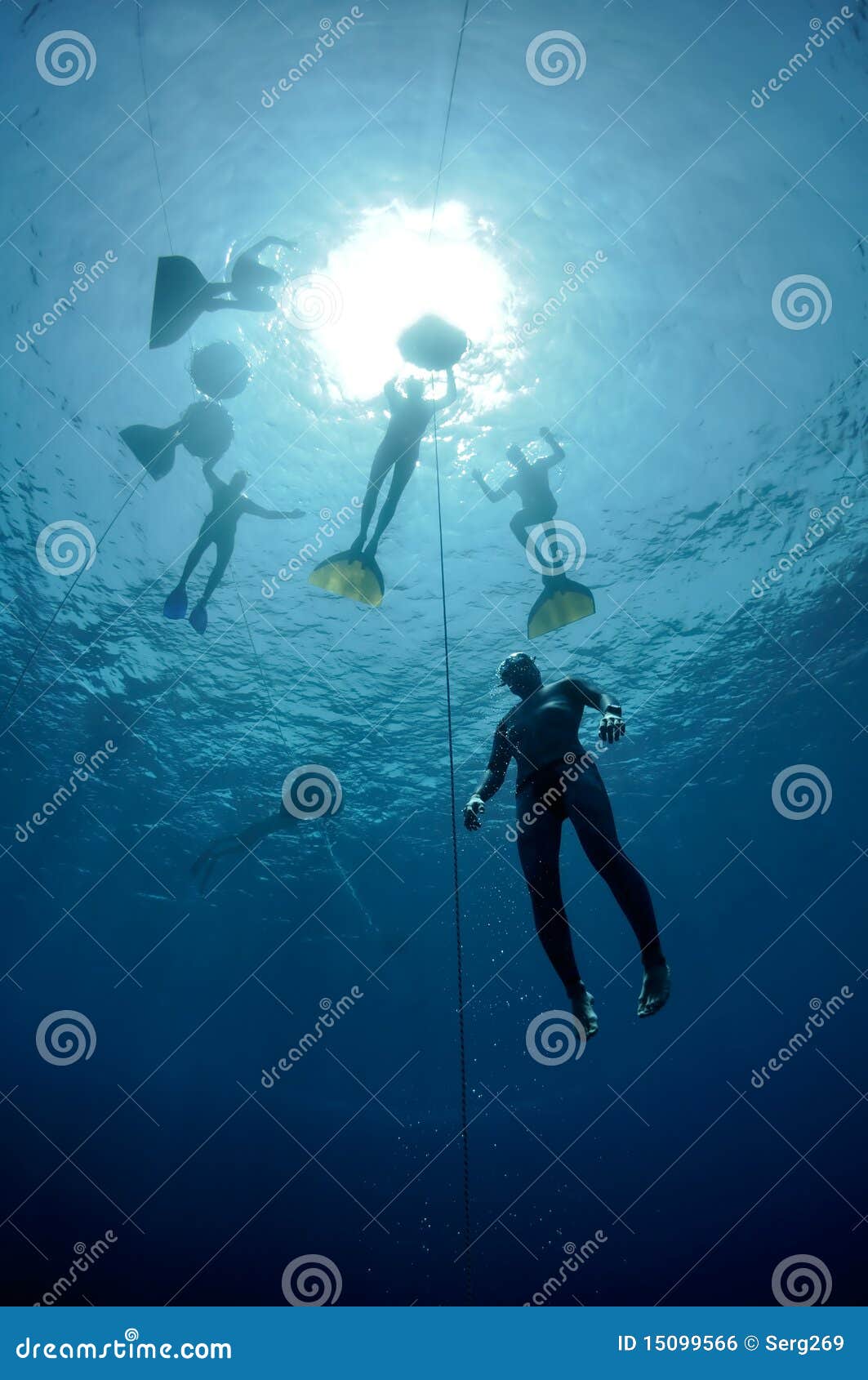 Slow ascent from the depth stock photo. Image of freediving - 15099566