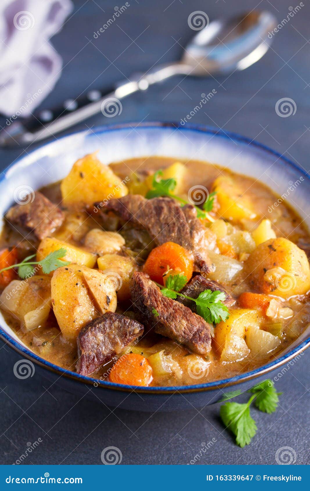 Slow Cooker Thick and Chunky Beef Stew. Stock Image - Image of plate ...