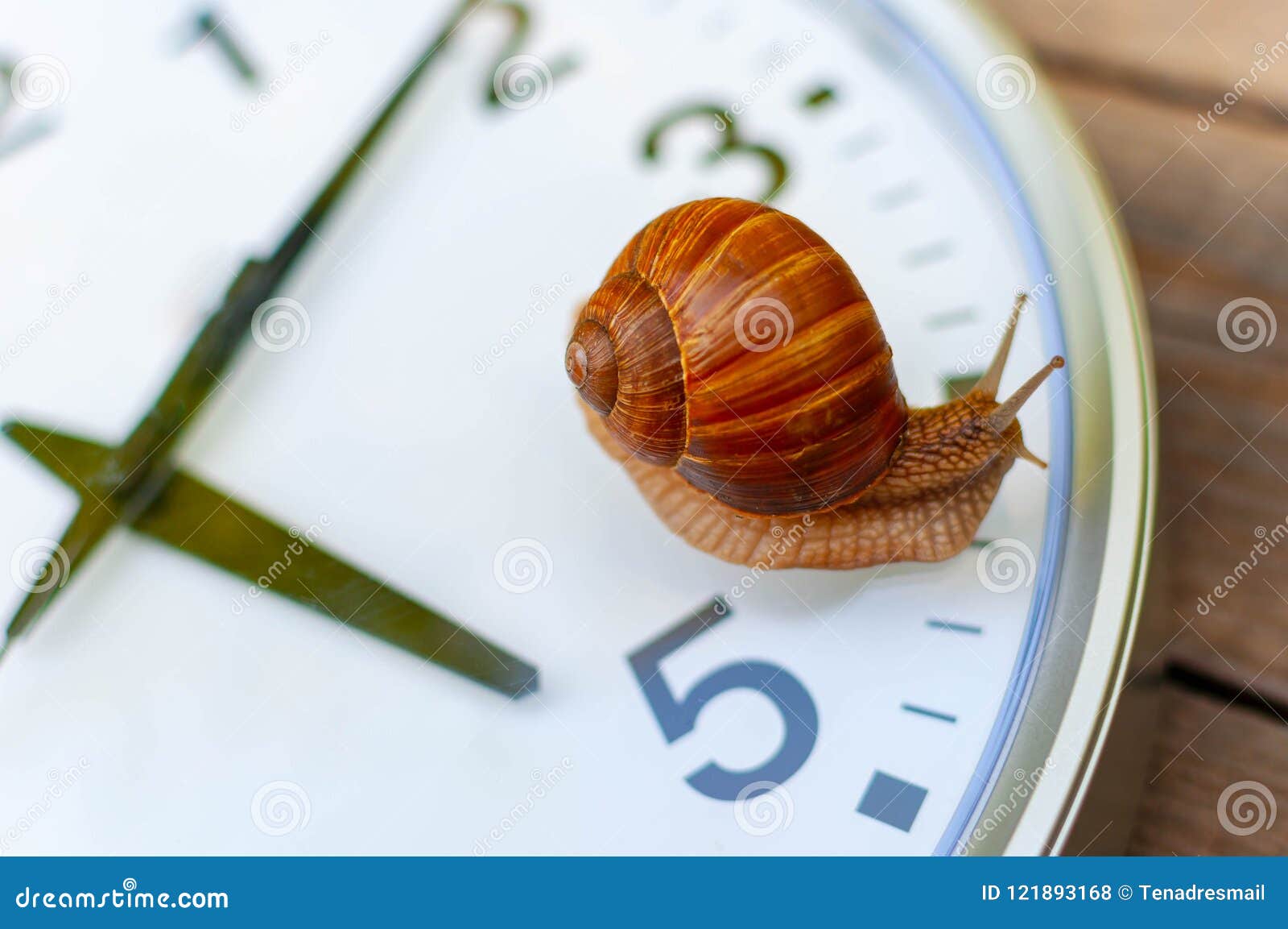 Slow down a bit stock photo. Image of tense, stop, time - 121893168