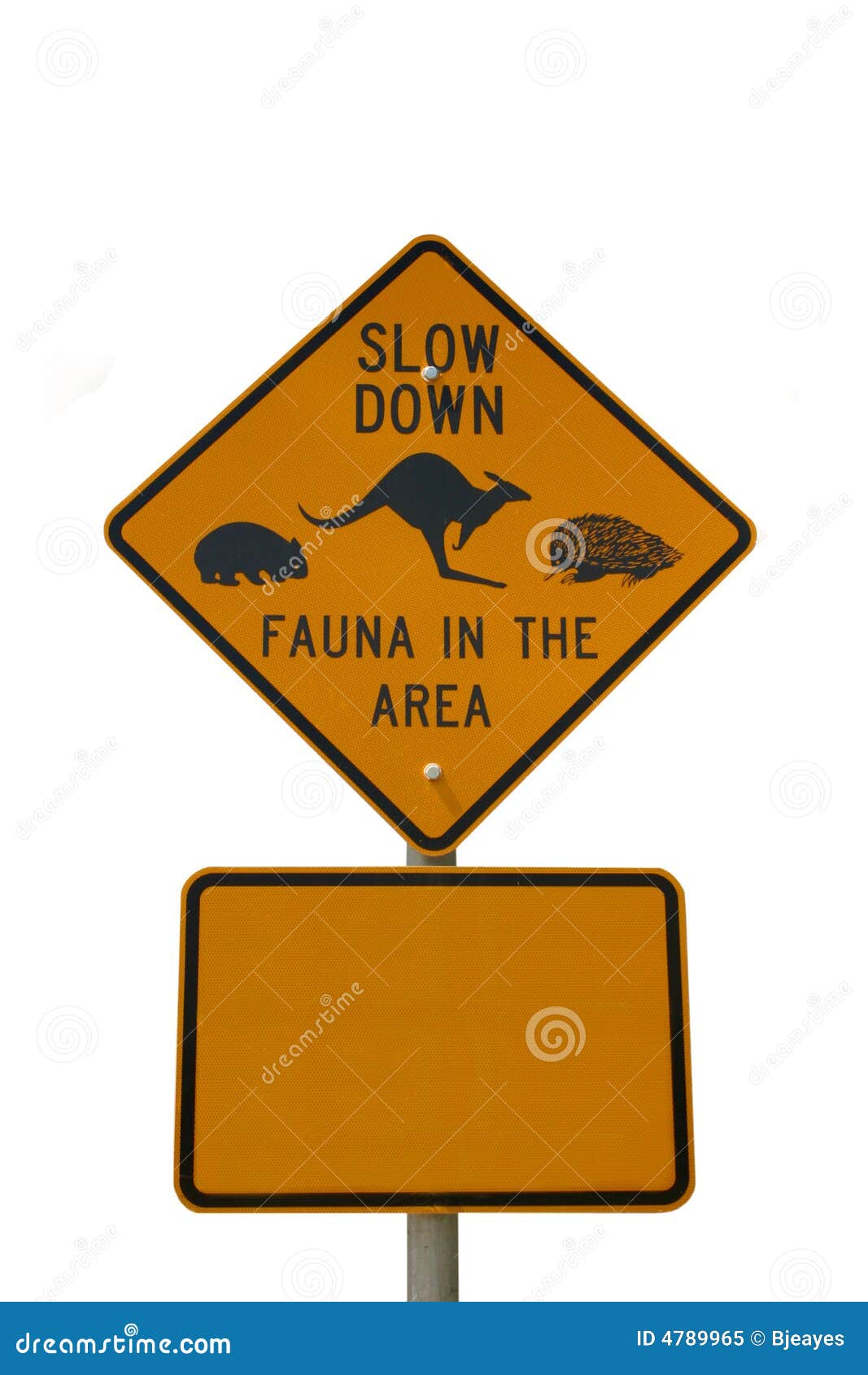 Slow Down Fauna Sign Isolated on White Stock Image - Image of orange ...