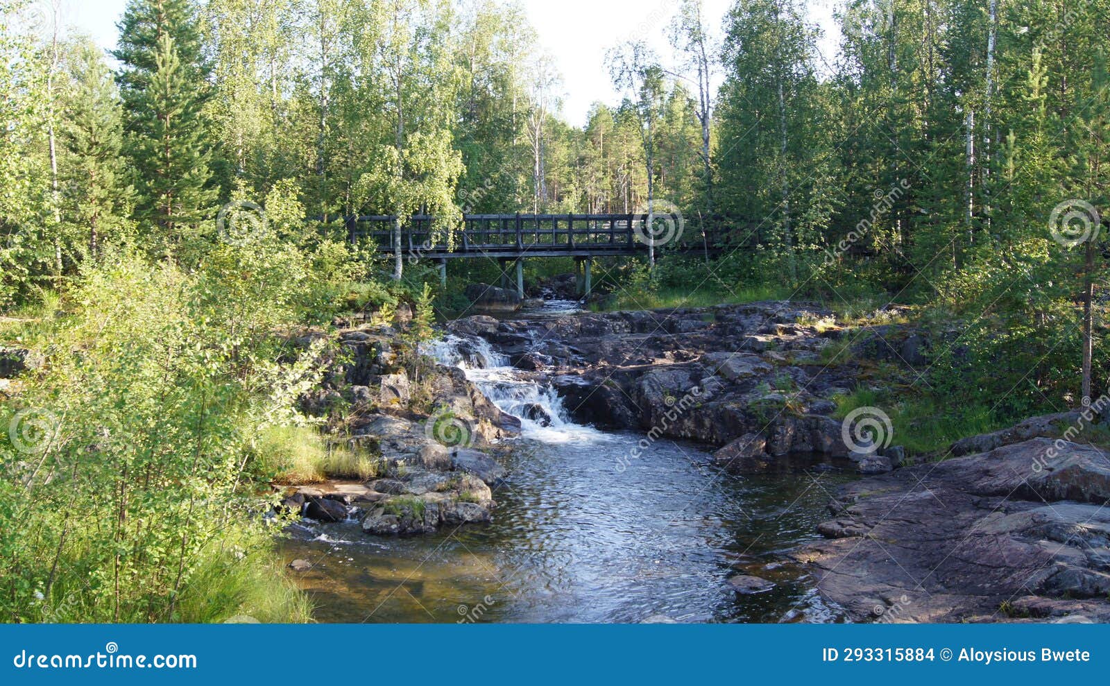 Slow down flow of a stream stock photo. Image of rapid - 293315884