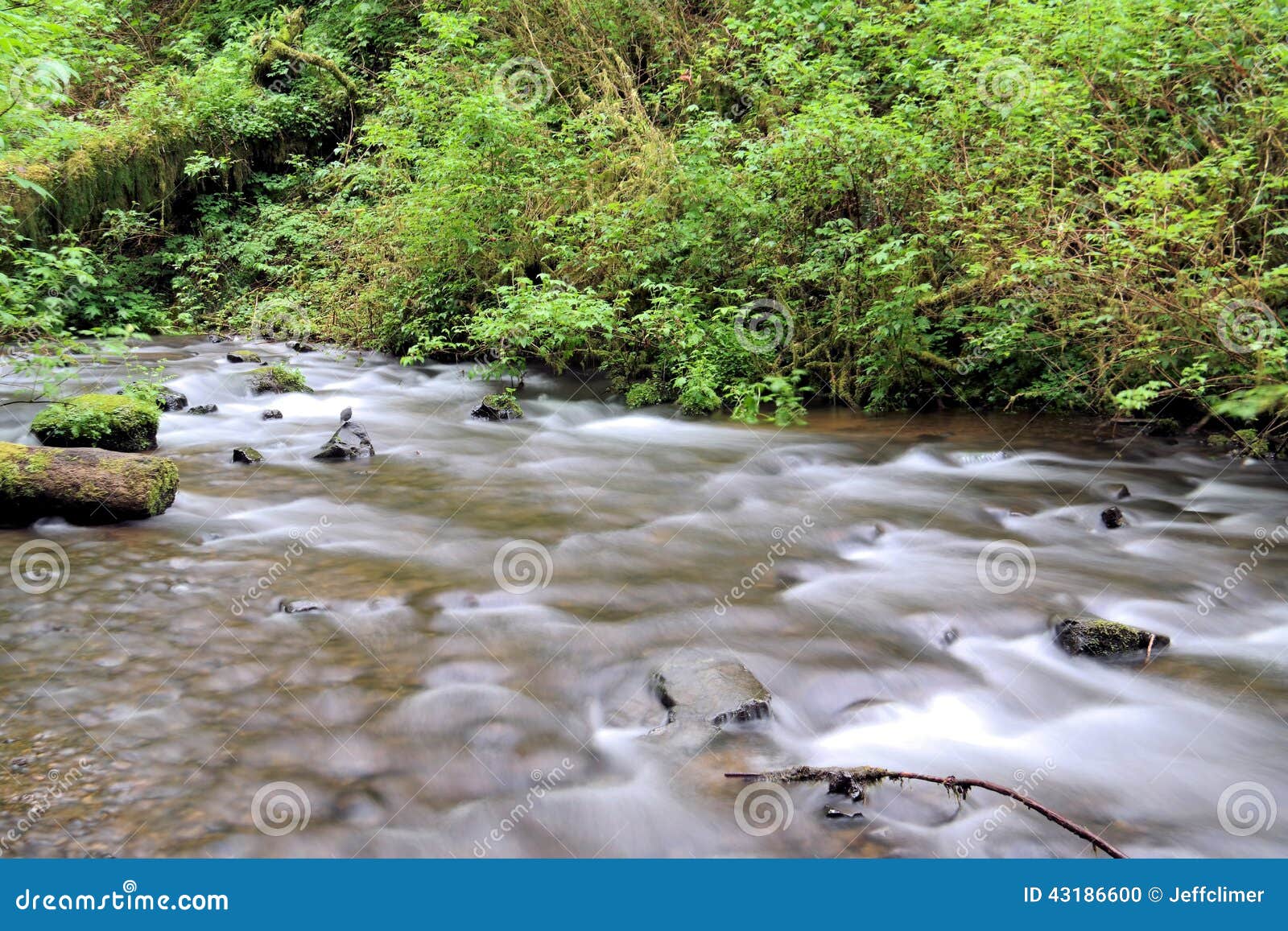 A slow flowing stream stock photo. Image of exposures - 43186600