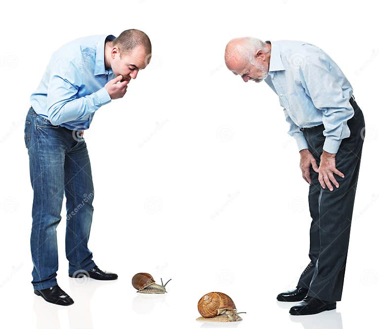 Slow job stock image. Image of caucasian, rece, business - 20697441