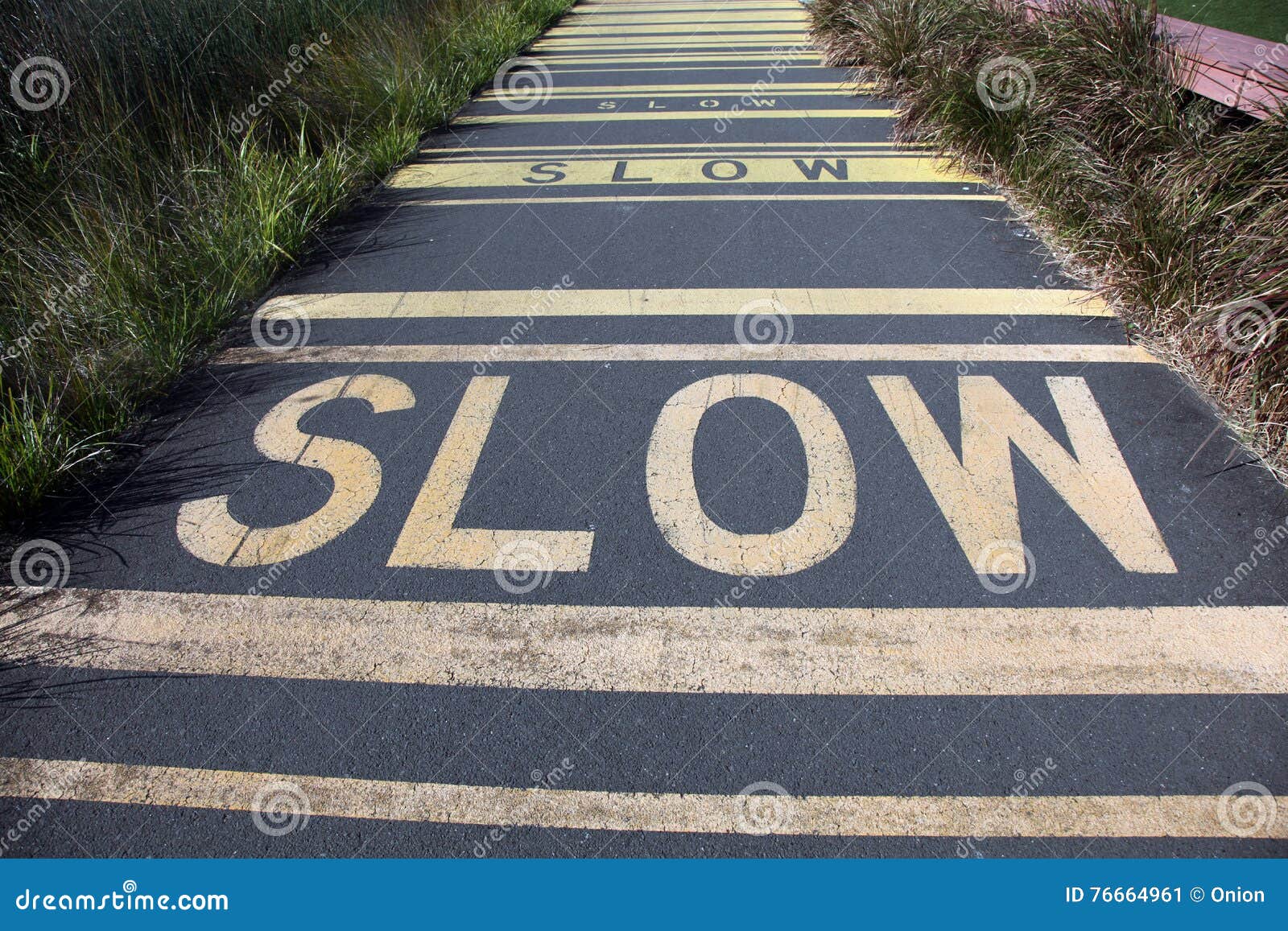 Slow lane stock image. Image of lane, grass, daylight - 76664961