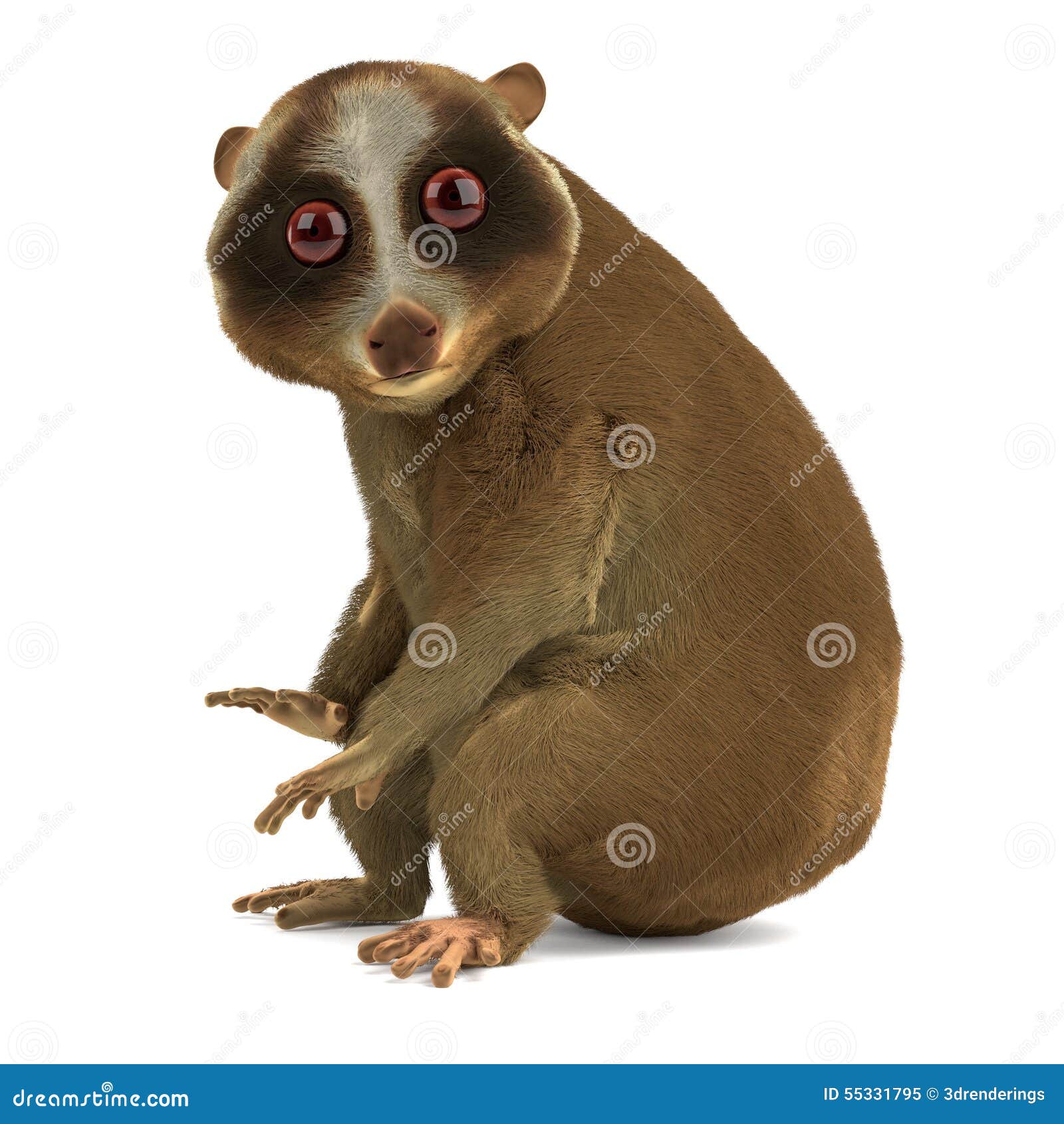 Nycticebus Stock Illustrations – 12 Nycticebus Stock Illustrations ...