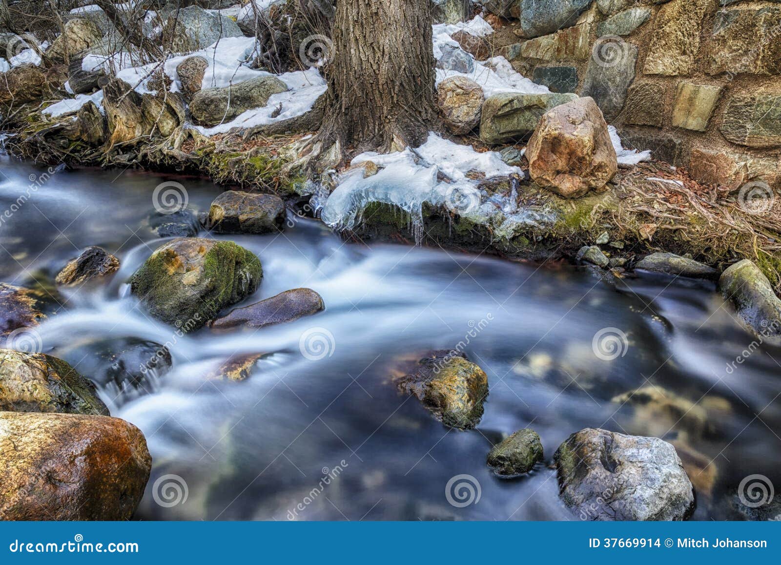 Slow Melting Ice on the River Stock Photo - Image of trees, icicle ...