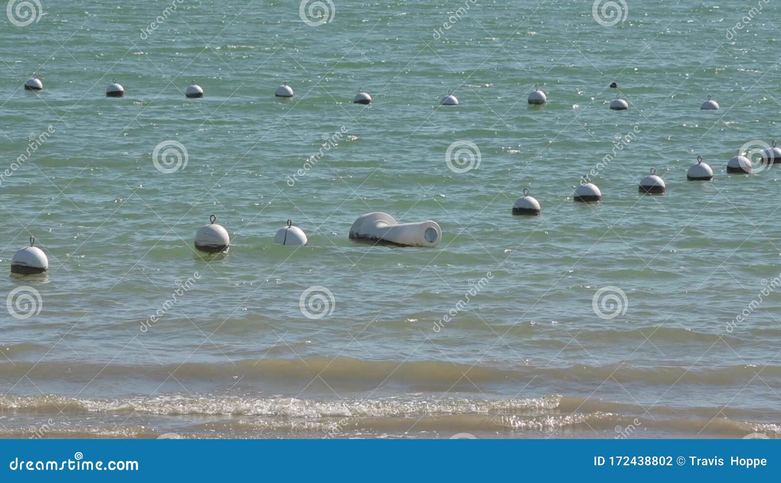 Slow Motion of Bowies Bobbing in the Water Stock Footage - Video of ...