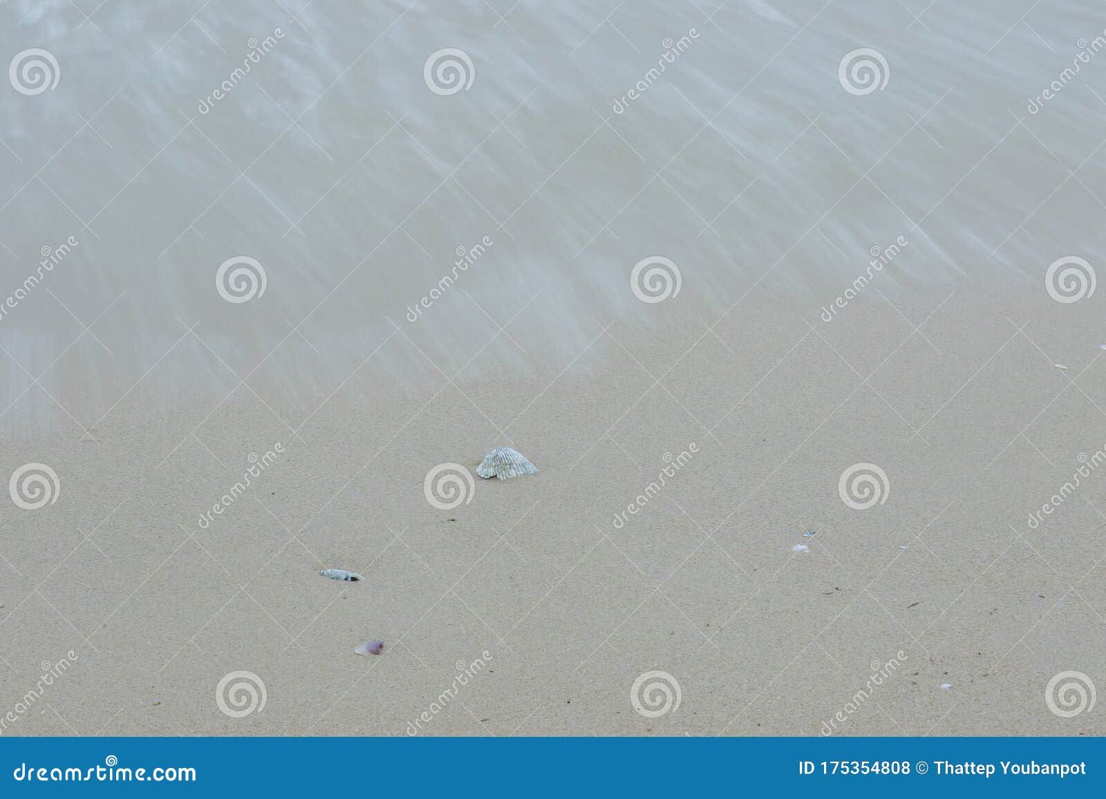 Slow Motion Sandy Beach with Flowing Sea Water Slow Motion Stock Photo ...