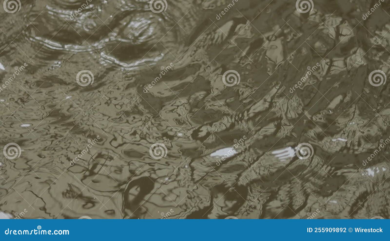 Water Drops Falling in the Rain Puddle Stock Footage - Video of ripple ...