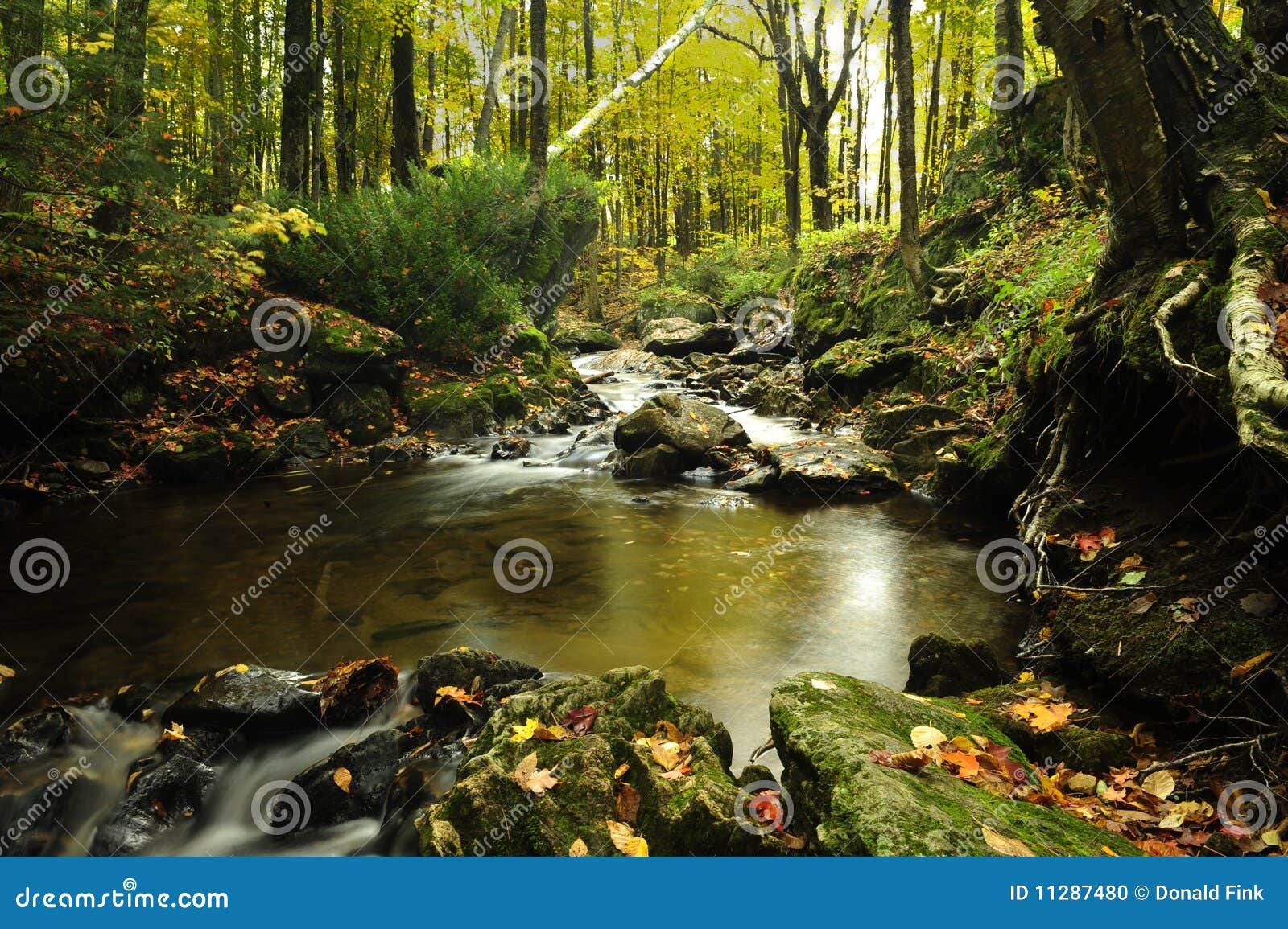Slow moving stream stock photo. Image of water, moss - 11287480