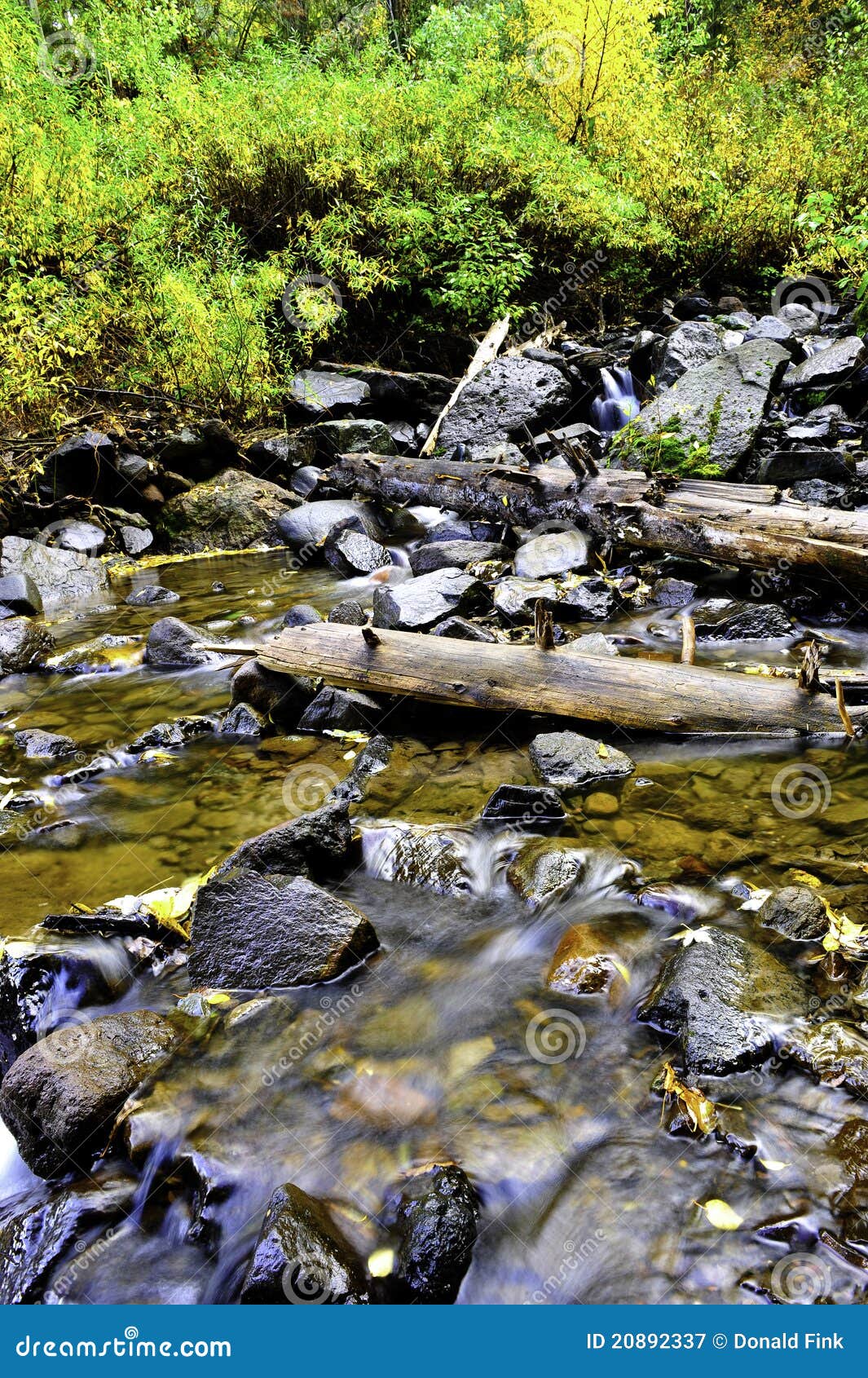 Slow Moving Stream stock image. Image of moss, flowing - 20892337