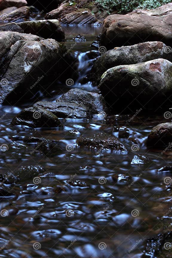 Slow moving stream stock photo. Image of river, moving - 26550938