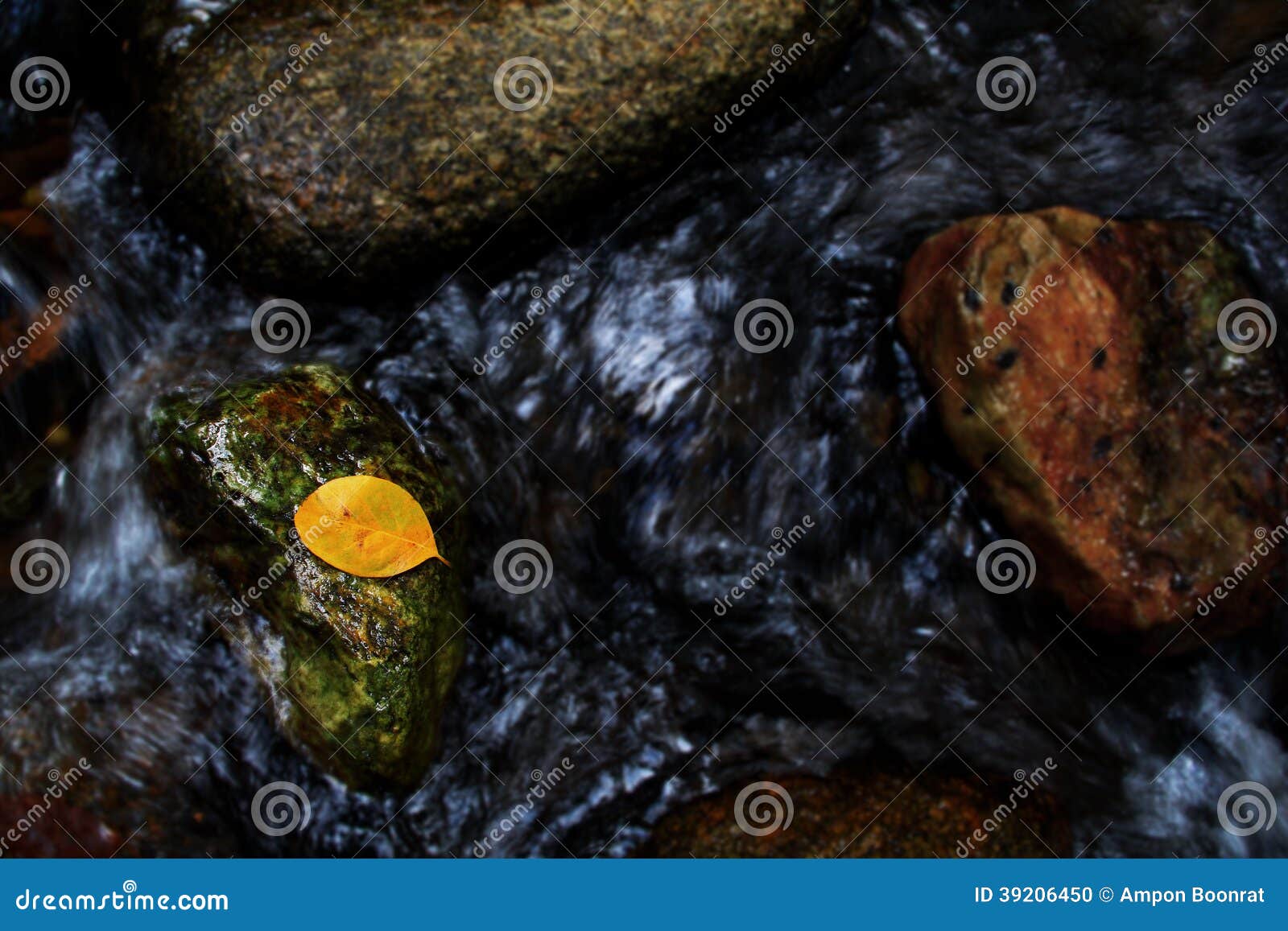 A Slow Moving Stream in Autumn Leaves Stock Photo - Image of landscape ...
