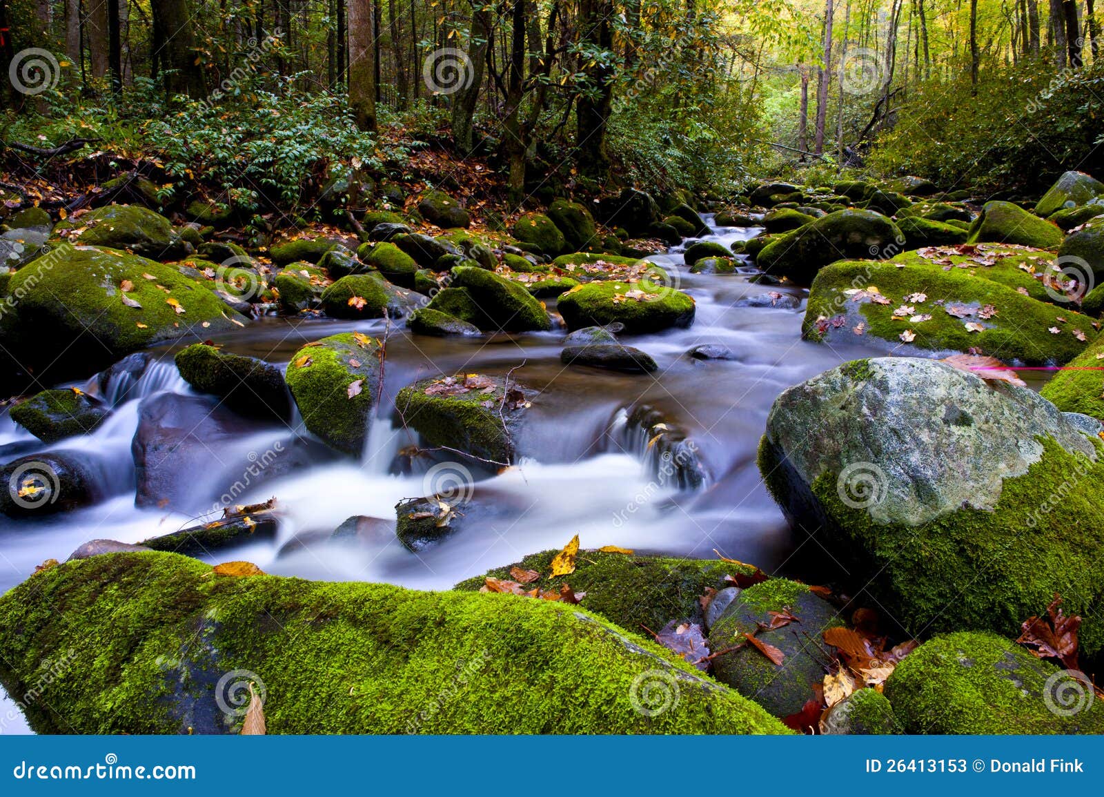 Slow moving stream in fall stock image. Image of fall - 26413153