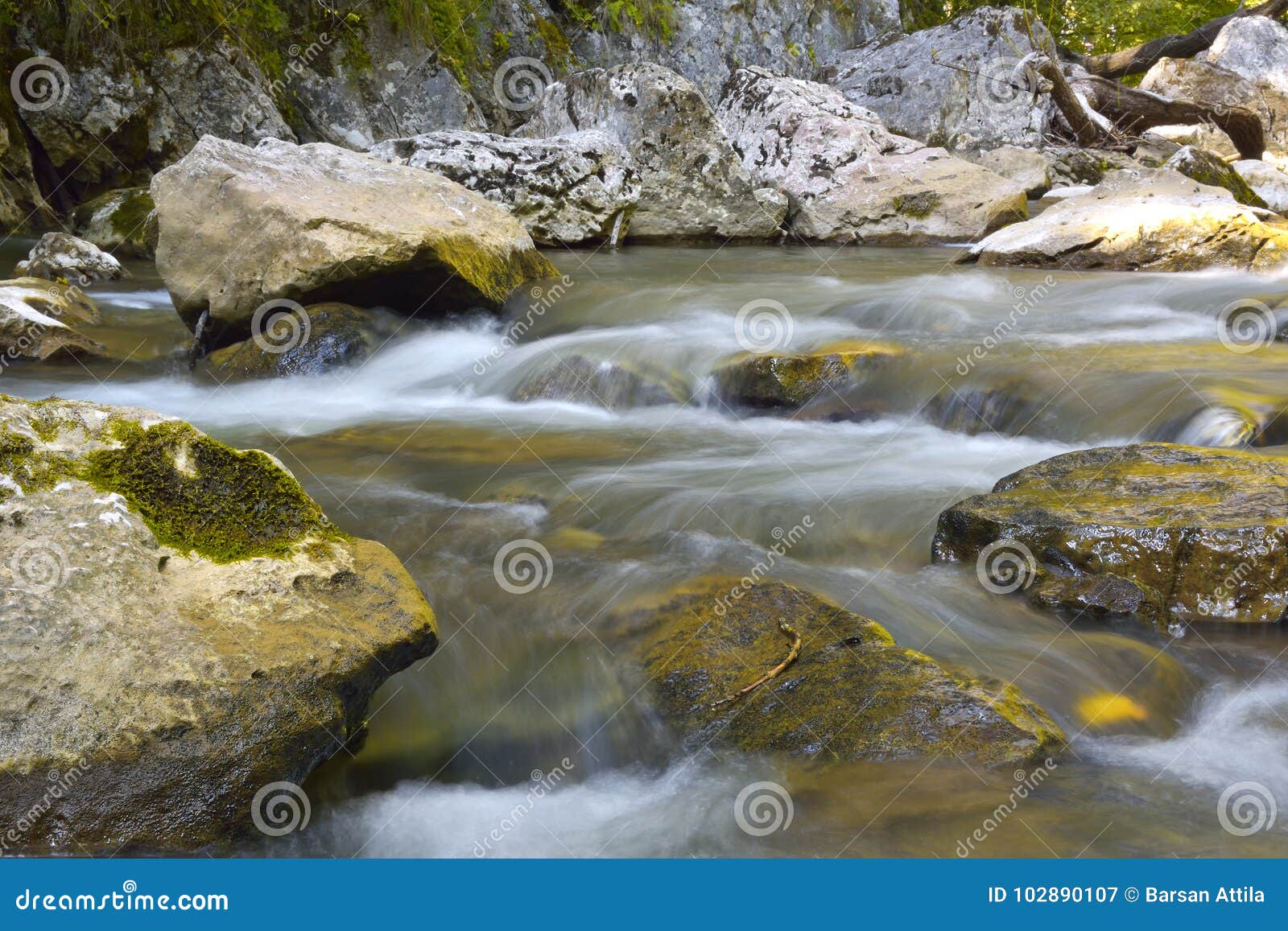 The Slow Moving Stream in a Forest Decked Out in Fall Colors Stock ...