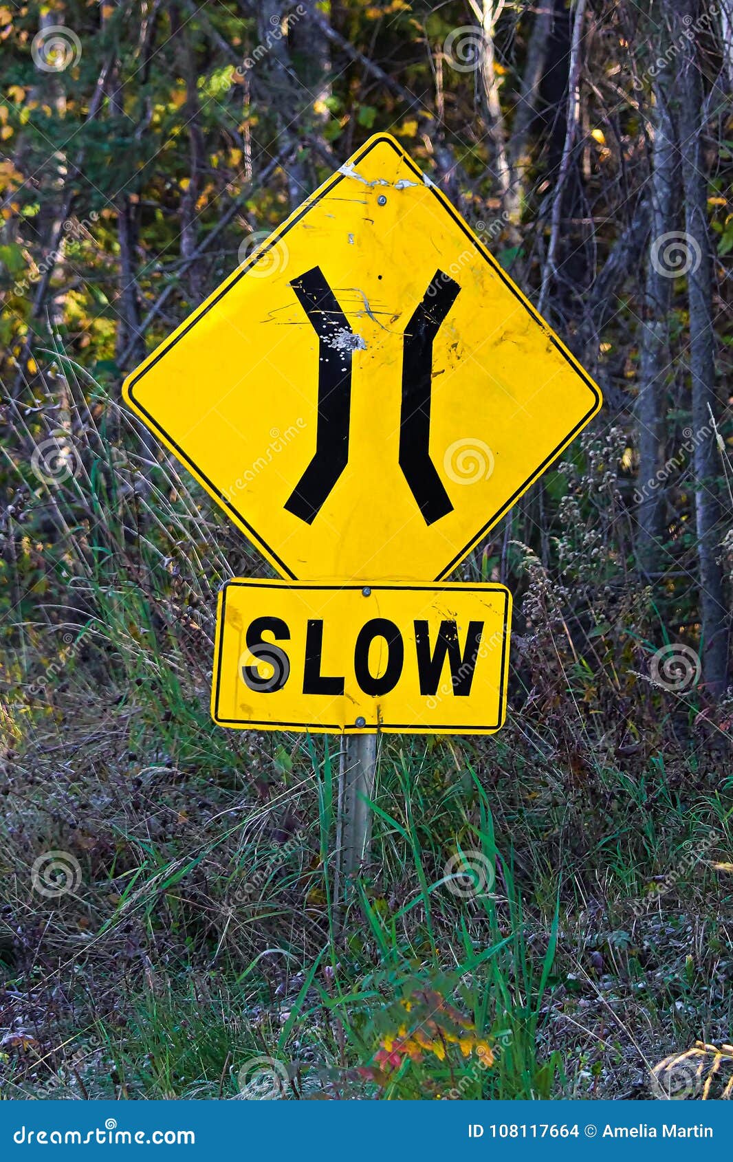 A Slow Narrow Bridge Sign with Trees in the Background Stock Photo ...