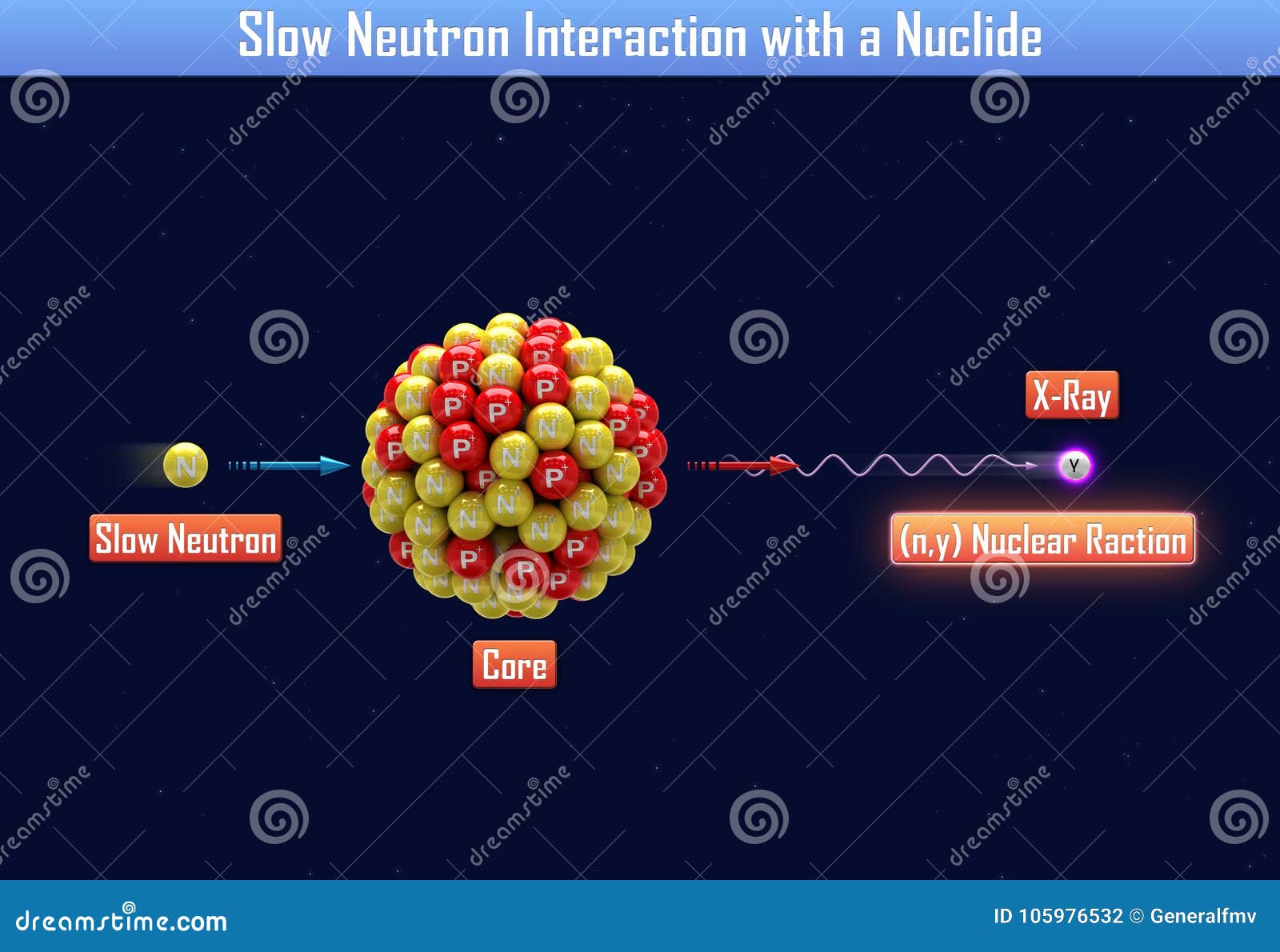 Slow Neutron Interaction with a Nuclide Stock Illustration ...