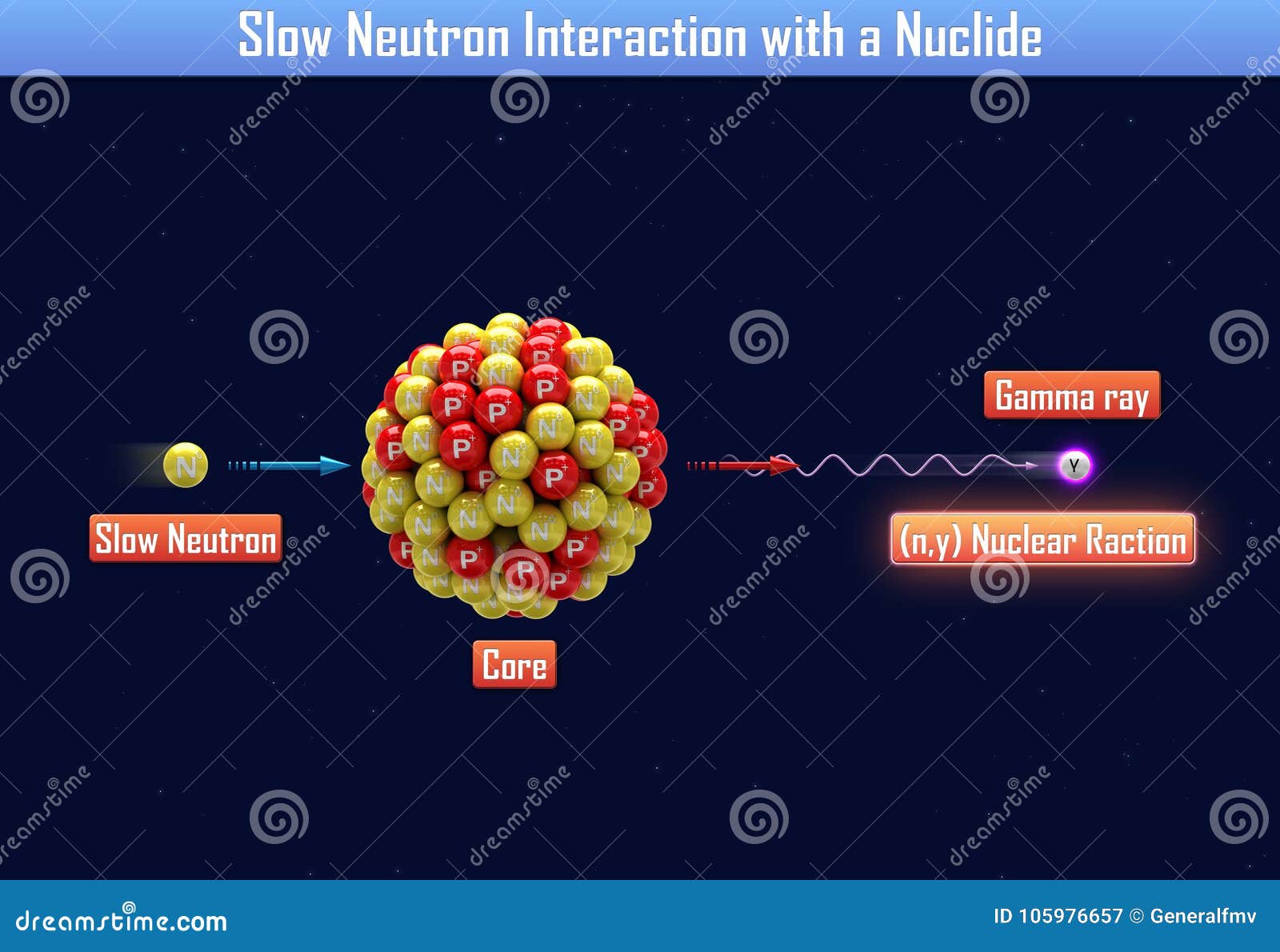 Slow Neutron Interaction with a Nuclide Stock Illustration ...